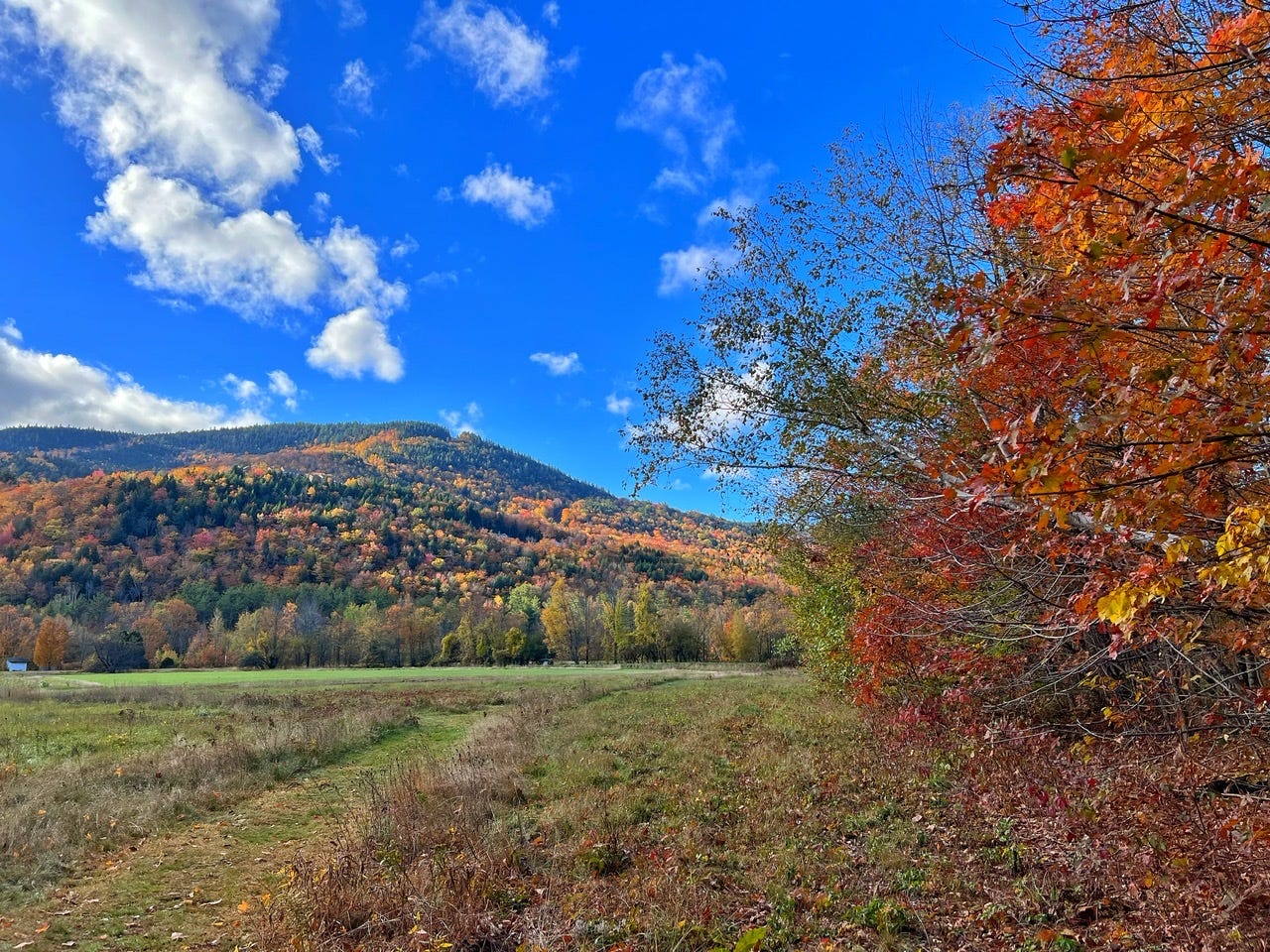 Fall Foliage Postcards from the White Mountains