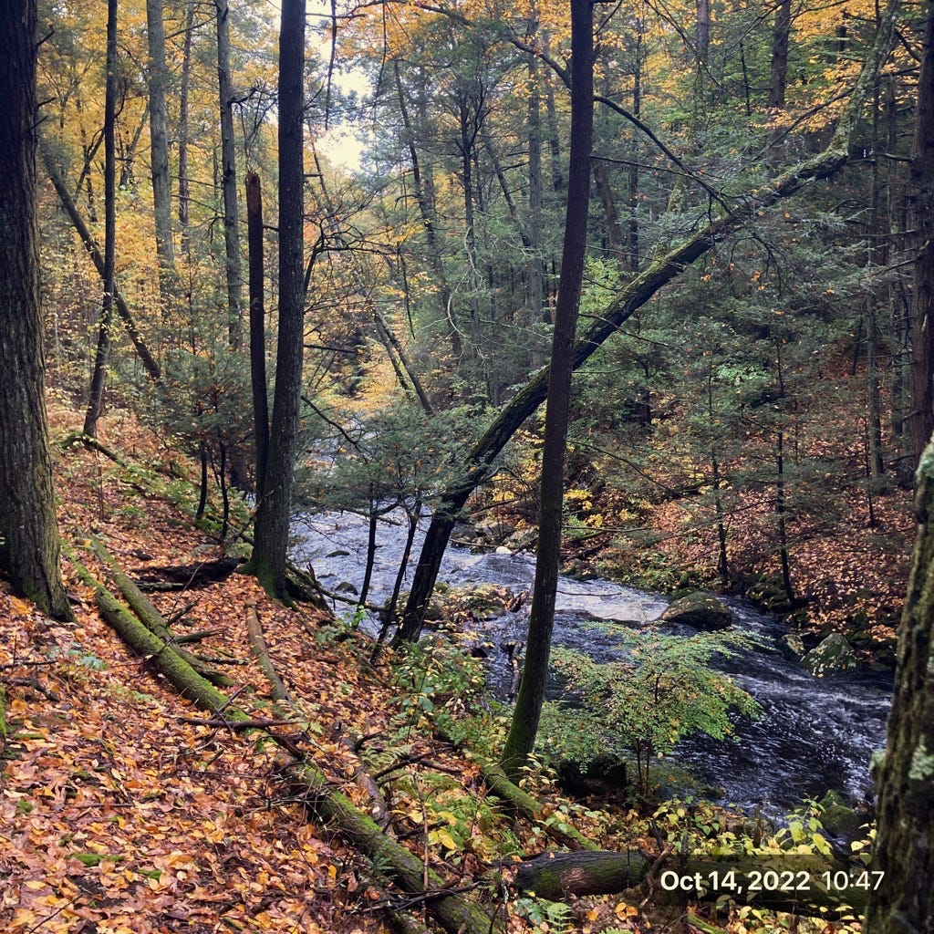 Pootatuck Stream Assessment, Part II