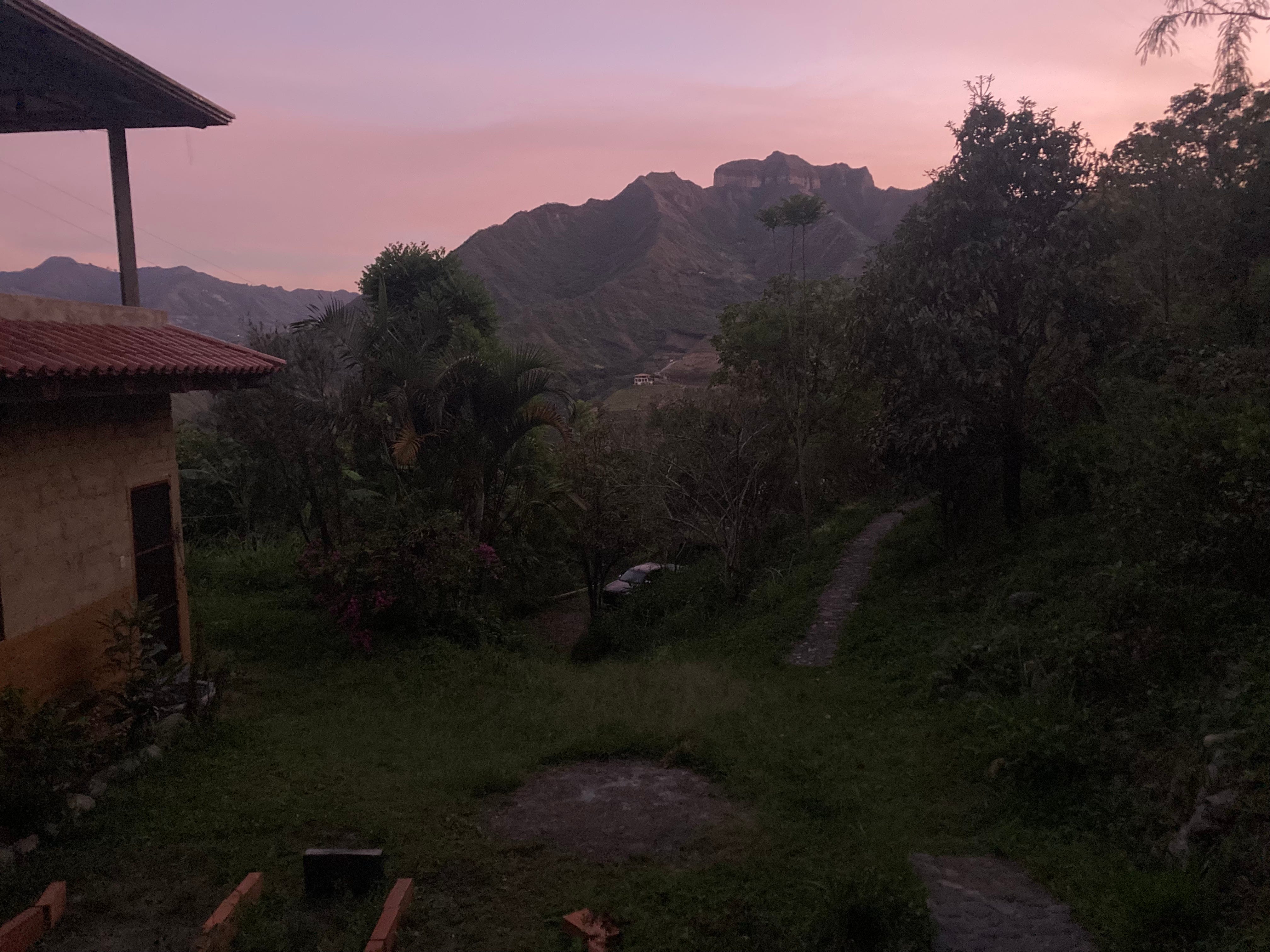 I'm Back - by Reiman Bledsoe - Light & Shadows