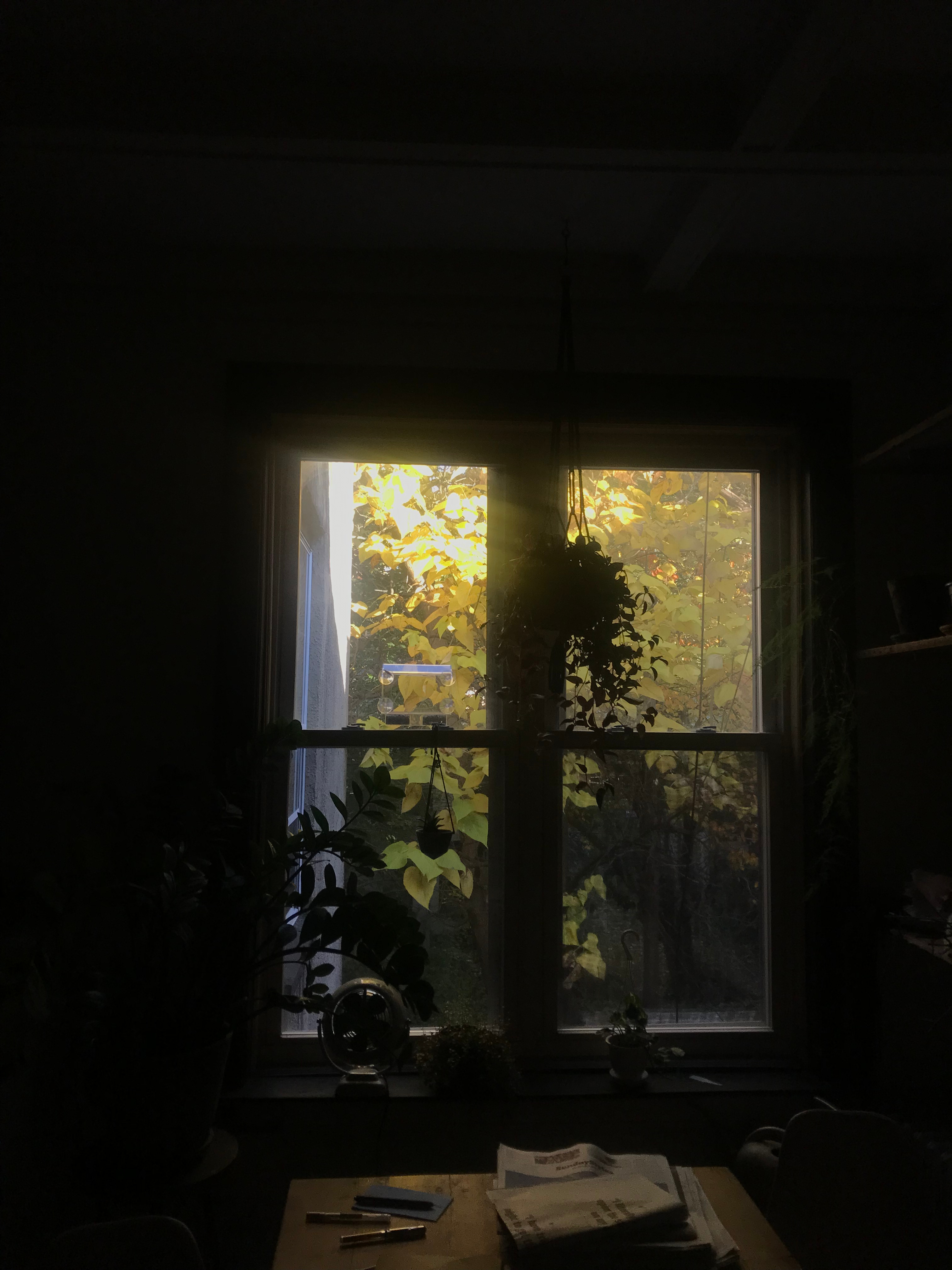 Abundance - by Resham Mantri - The In-Between