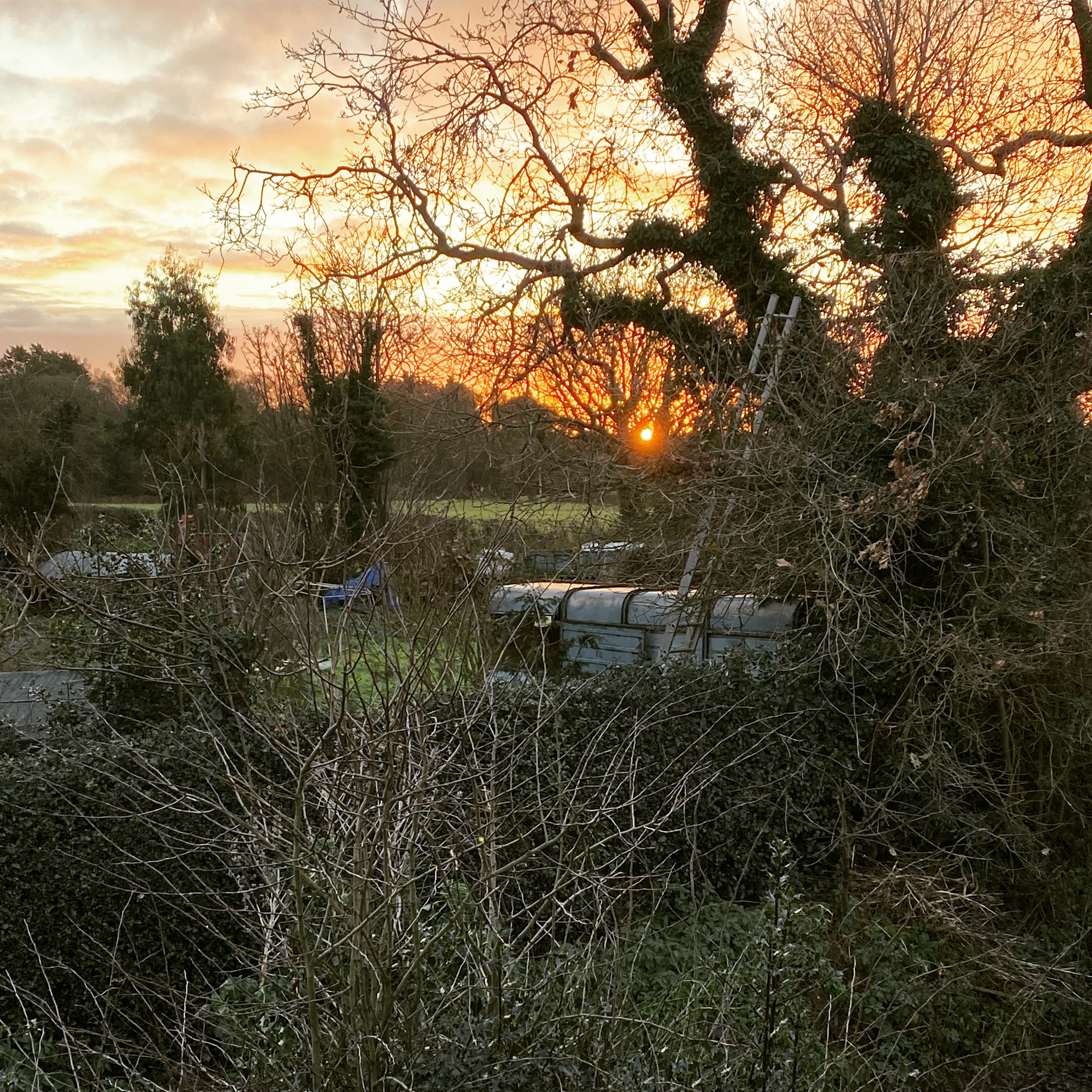 The Nameless Day - by Imogen Ashwin - Bracken & Wrack