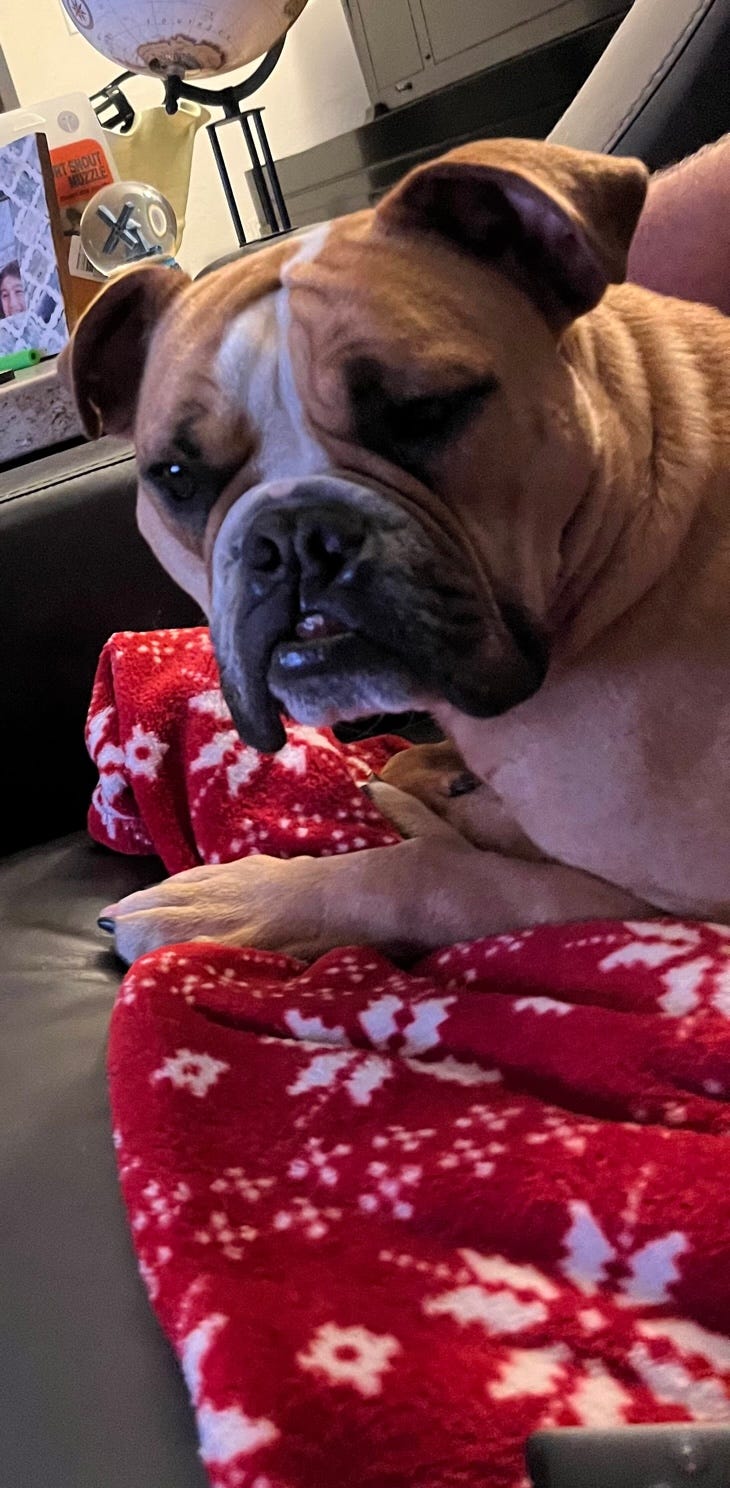 Henry’s Blog | Henry Aure | Substack