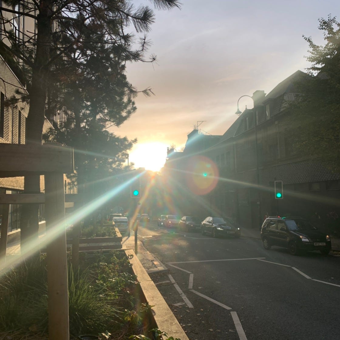 JAMIE JACKSON | Substack