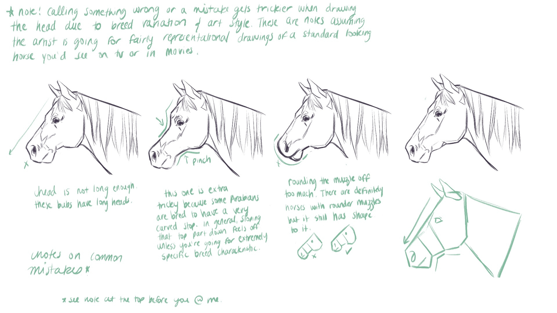 Horse Drawing Notes - Alexandria Neonakis' Sketchbook