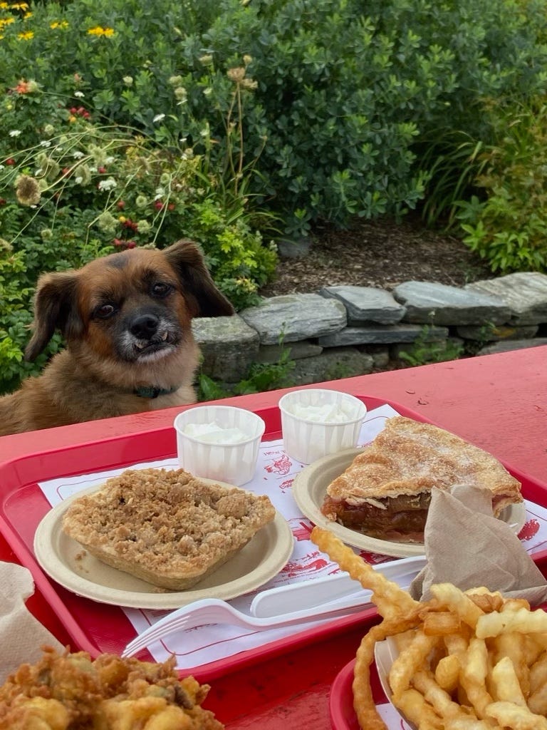 Ask Digestivo: Regular Degular Shmegular Recipes