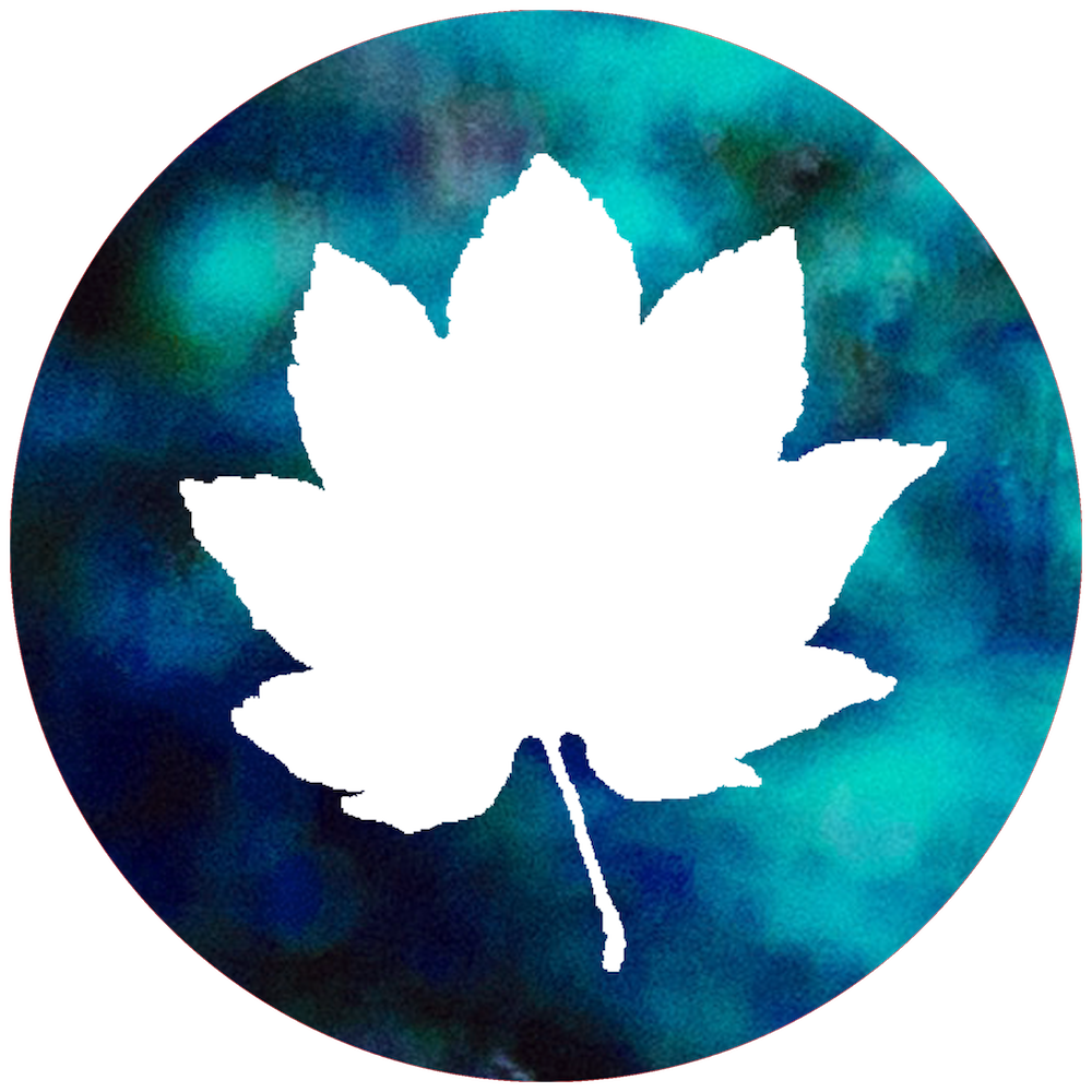 Dr. Sarah Carnes | Substack