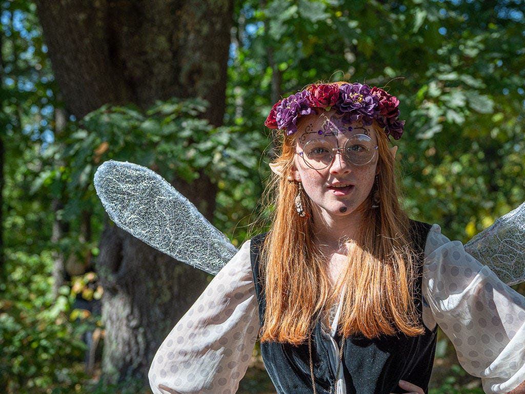 Waterloom Fairy Festival - by John M Poltrack