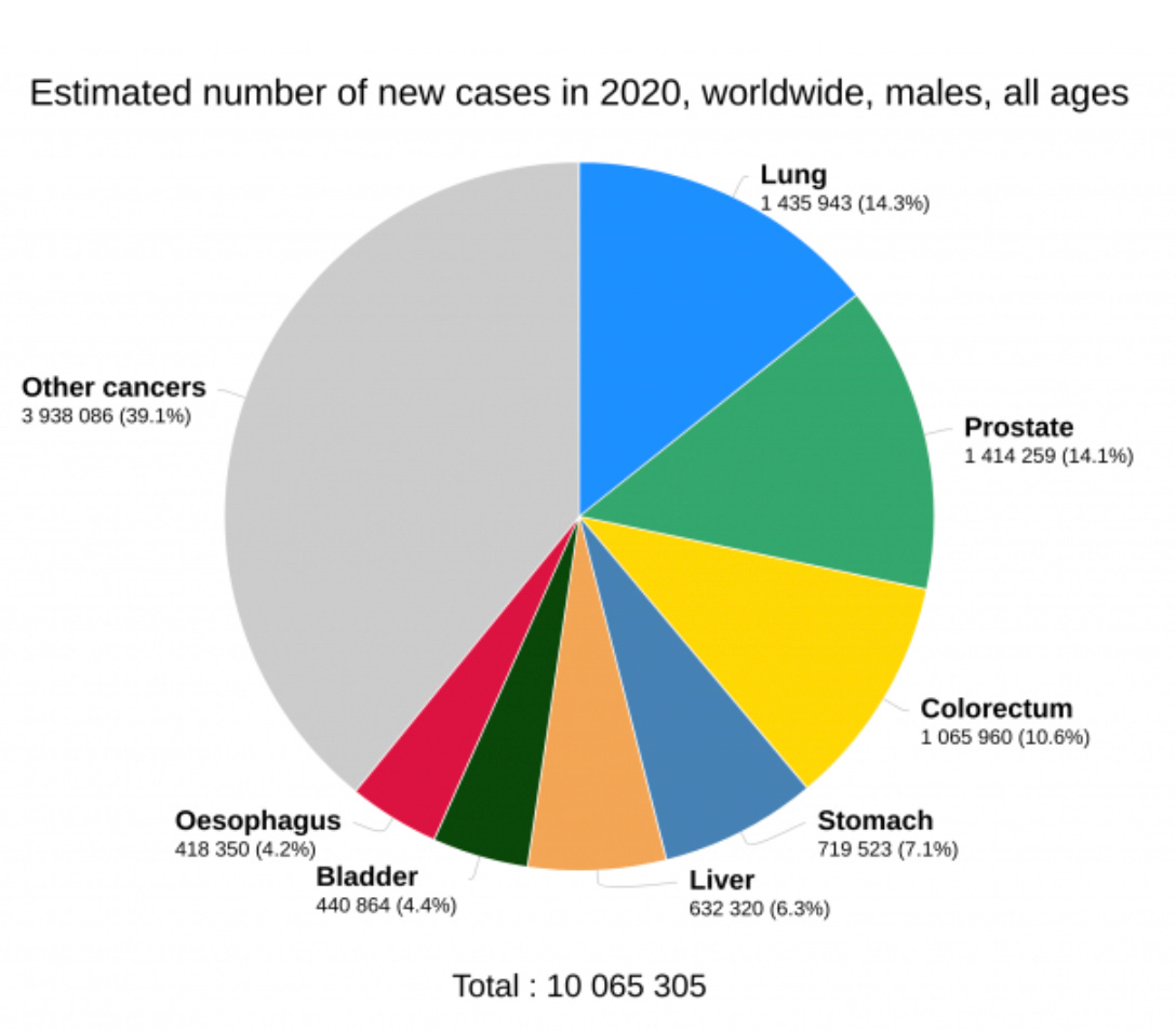 Diane Francis | Substack