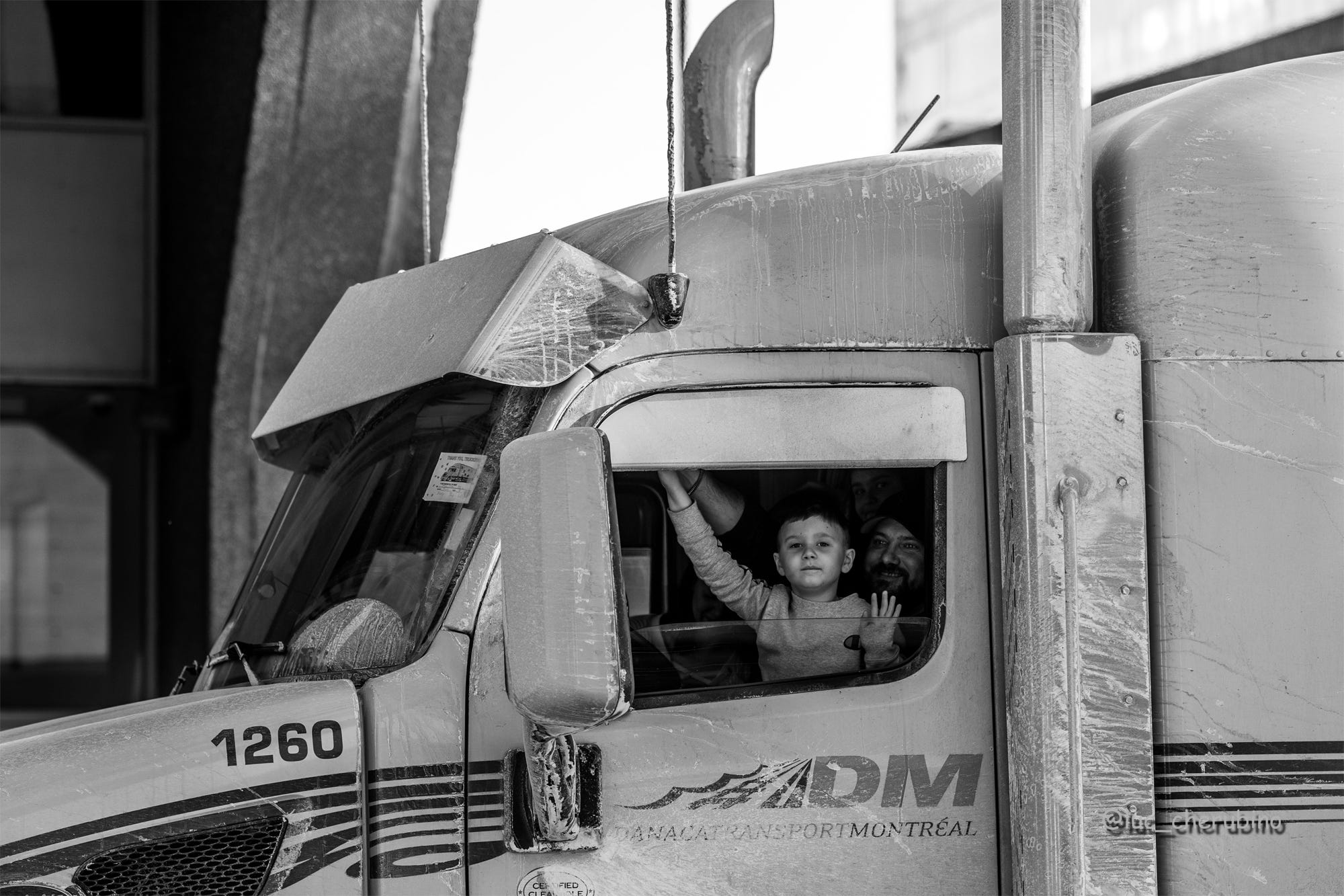 Faces of Freedom - by Donna Laframboise