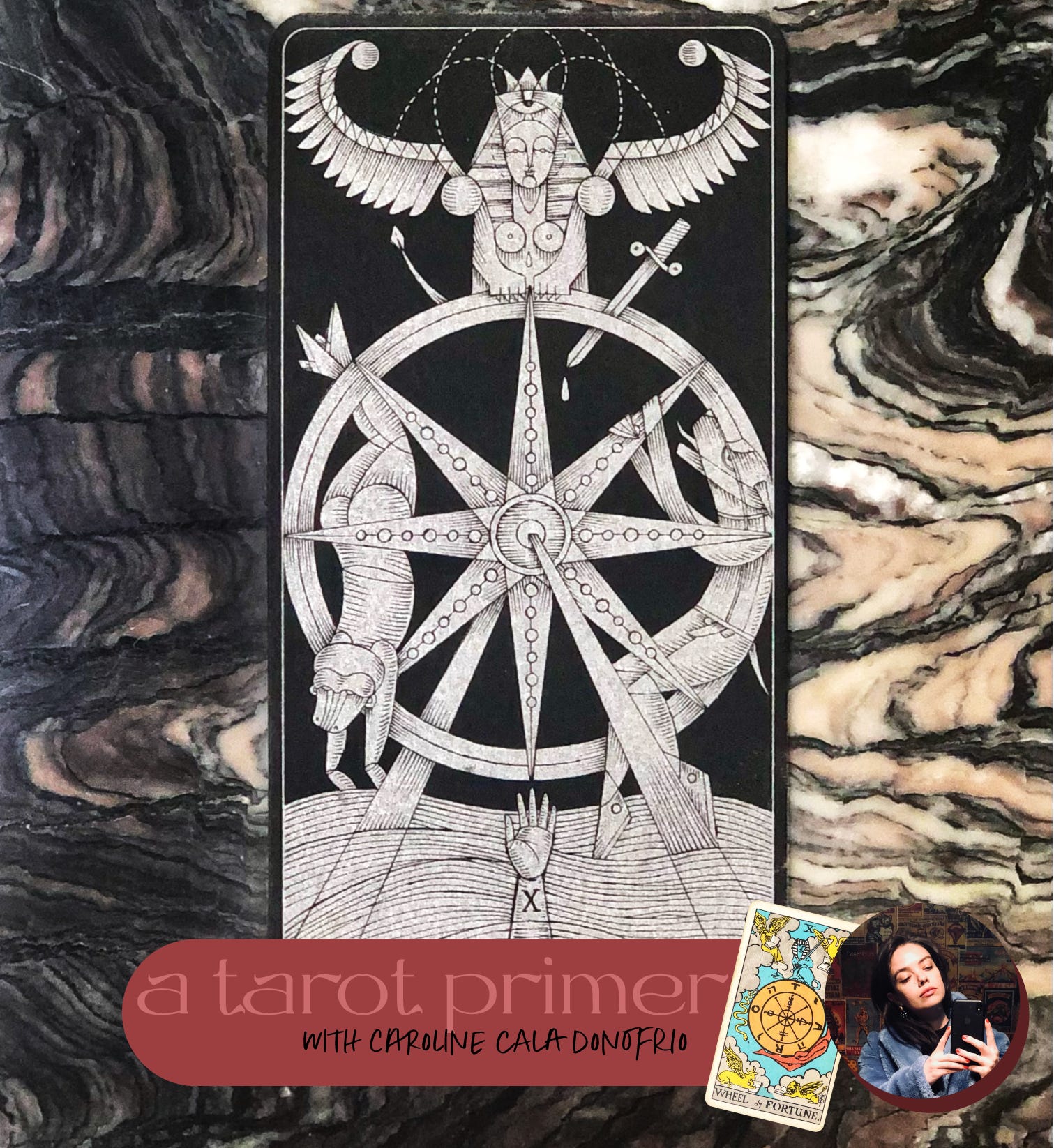 A Tarot Reading with Caroline Cala Donofrio