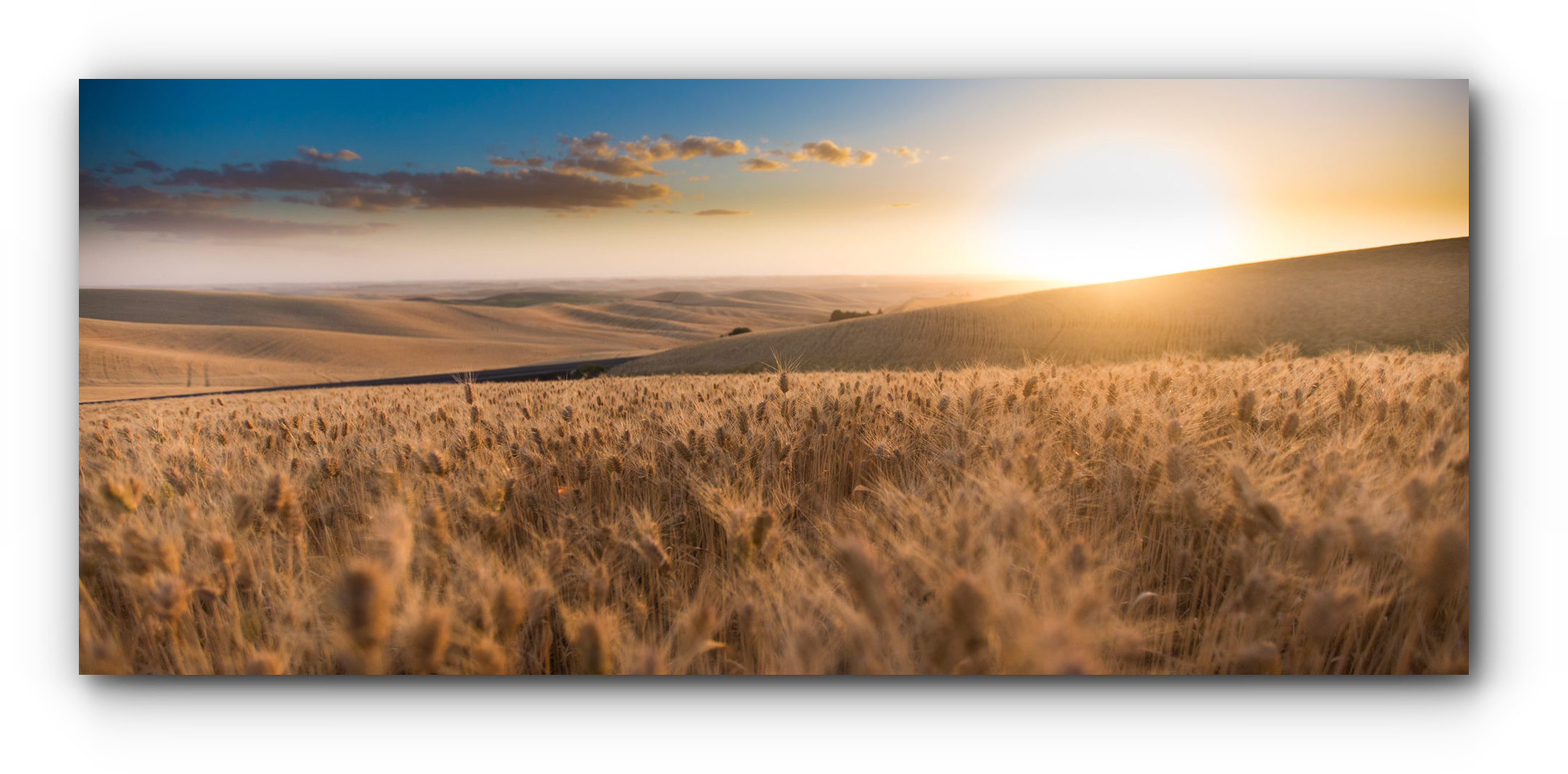 R veille Part 1 By Greg Carol r-veille-part-1-by-greg-carol