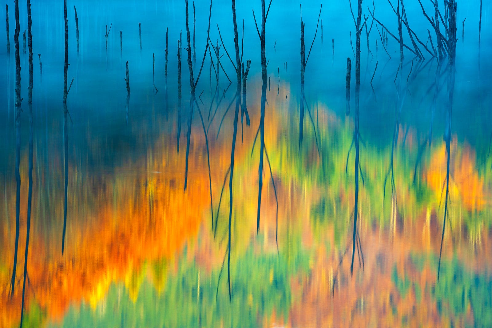 Cuejdel - Un basm în sălbăticia Carpaților. Interviu cu fotograful ...