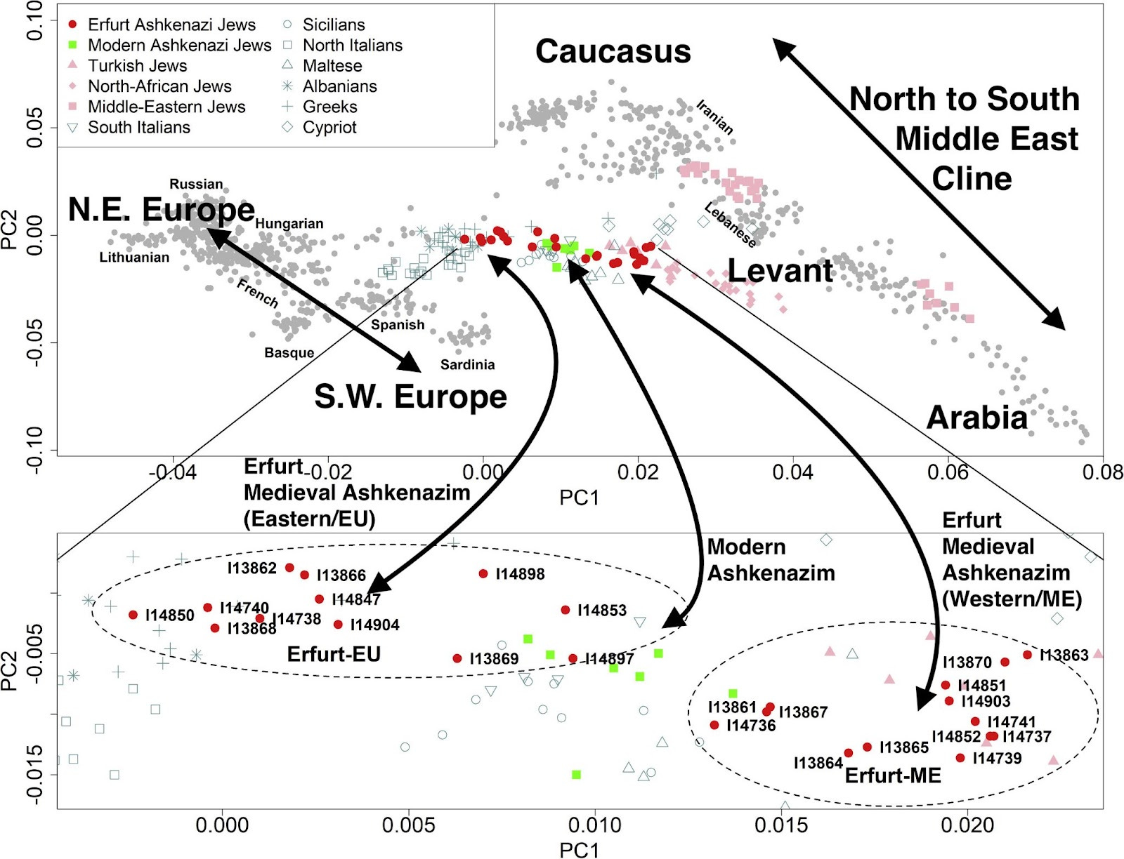 A coat of many colors: medieval-DNA findings detect interwoven strands ...