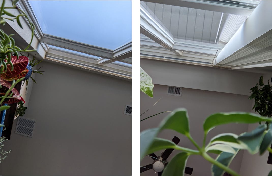 What is "Bright Indirect Light"? - Everything You Need To Know