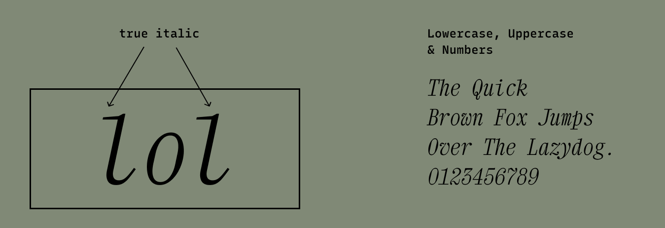 Reviewing Xahn Mono: Monospaced Serif Font Perfect for Editorials ...