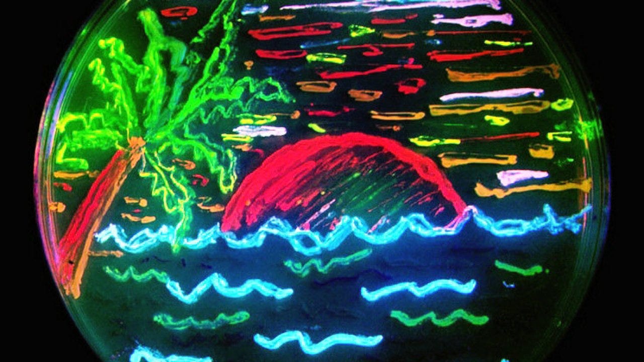 Let's Go Streaking - by Shaastra TechShots