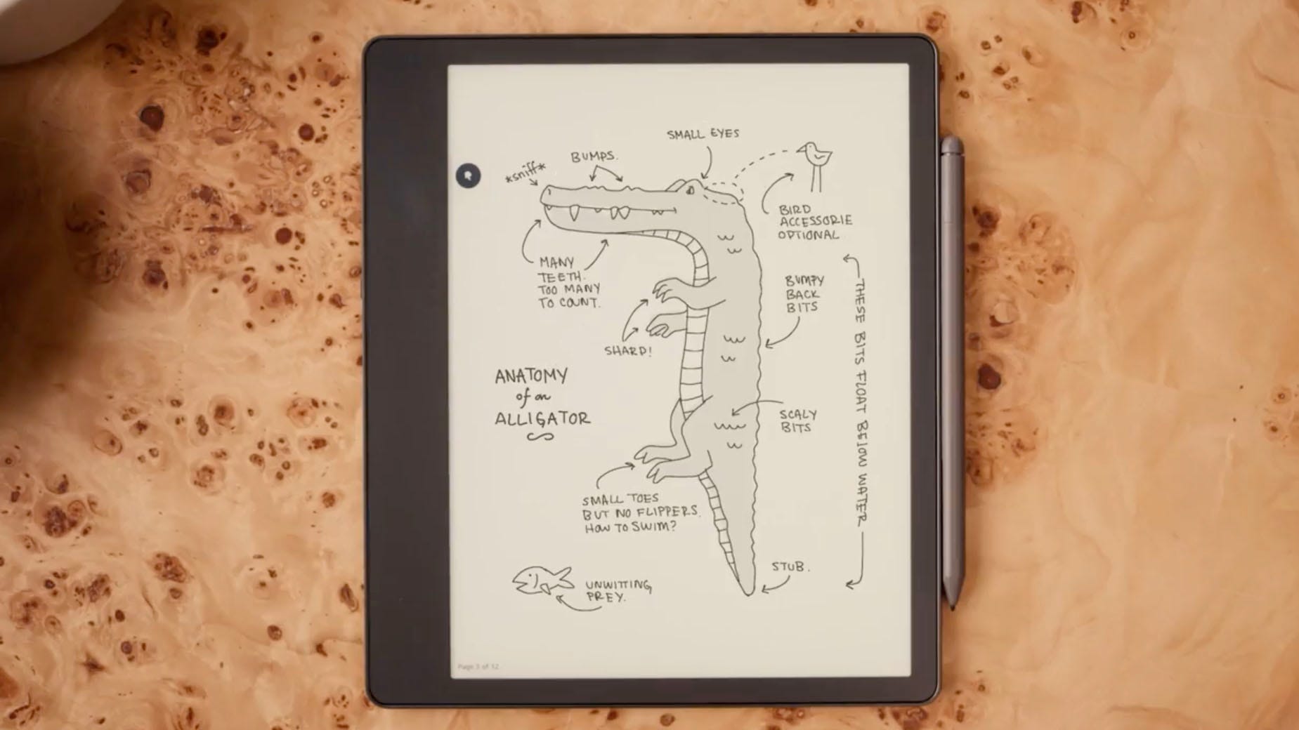 Kindle Scribe is Amazon's first e-reader you can write on – now up for ...