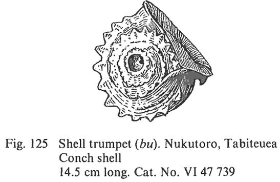 Some Uses of Musical Instruments in Hunter-Gatherer Societies
