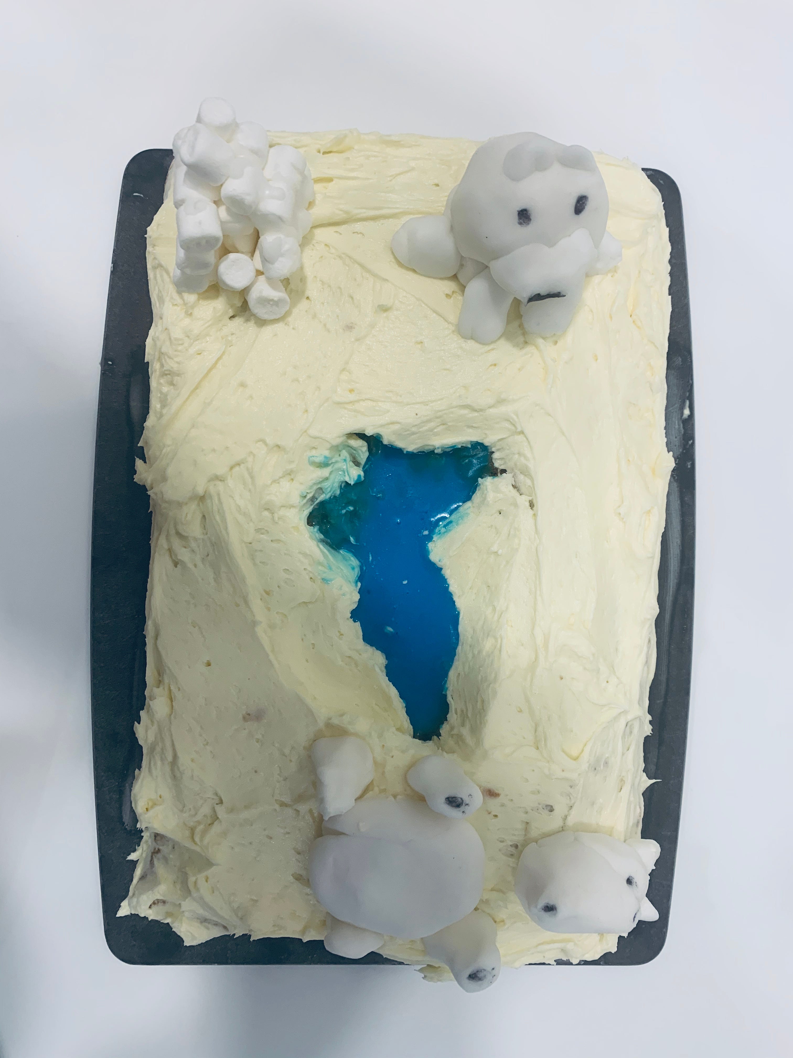 Arctic cake. - Baking the world with Dolly