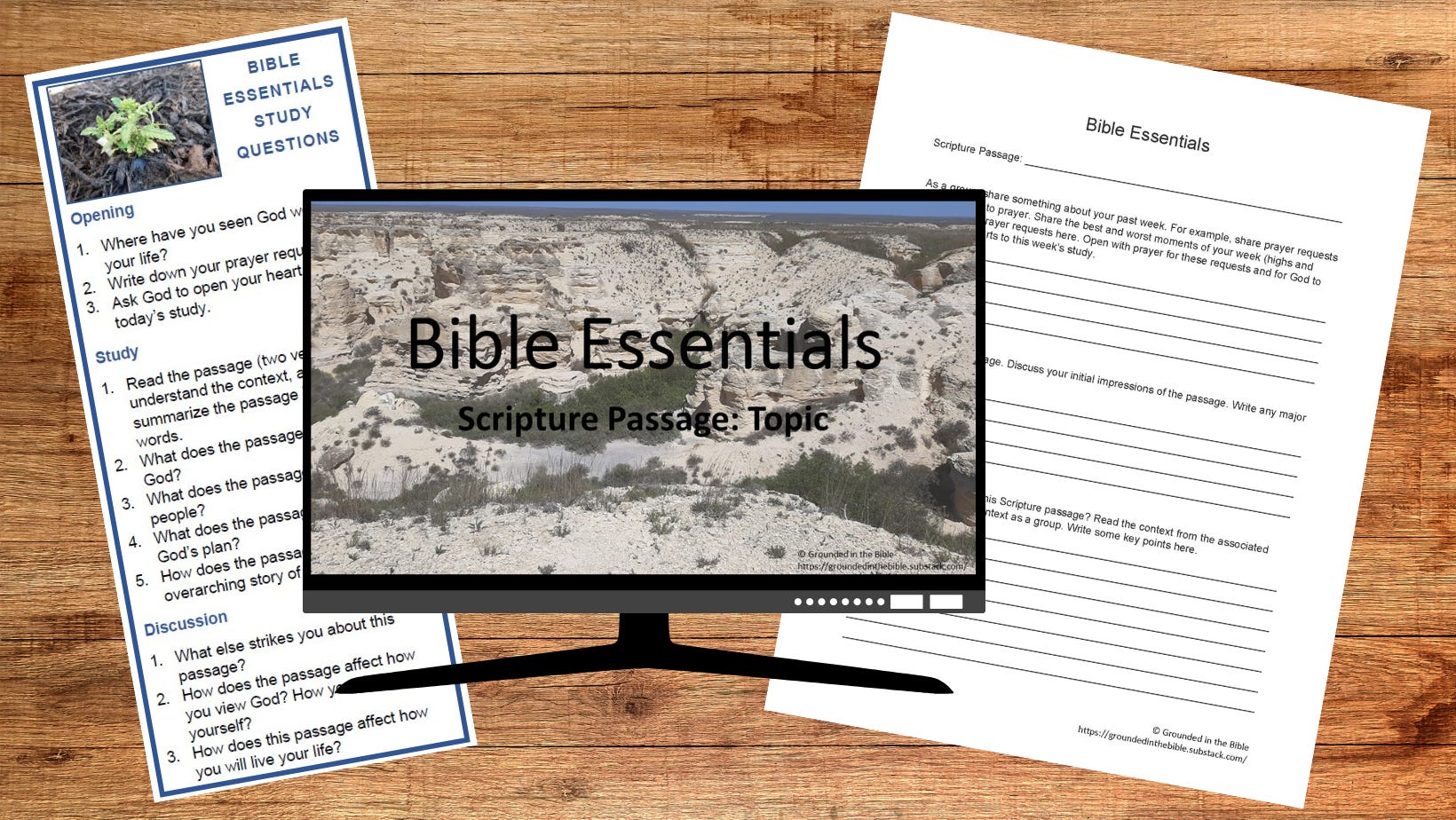 Bible Essentials - by Karen Hoffman - Grounded in the Bible