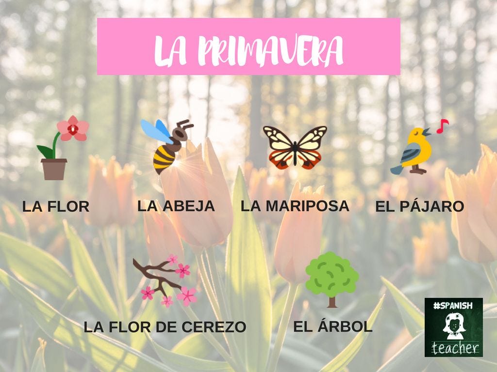 Vocabulario: La primavera
