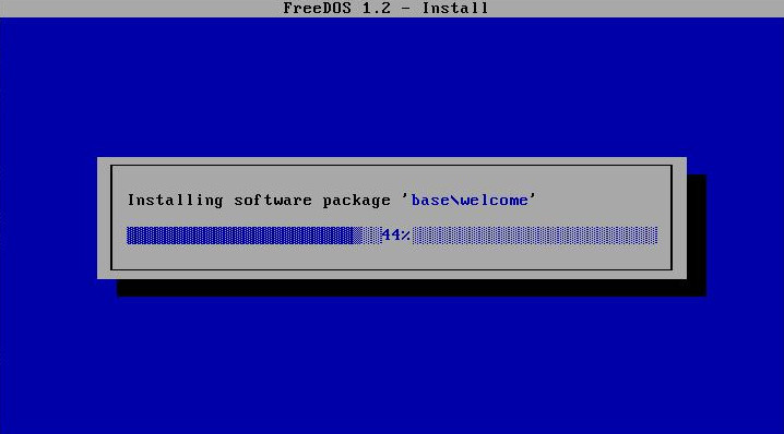 How to: Run a DOS-based Web Server (seriously)