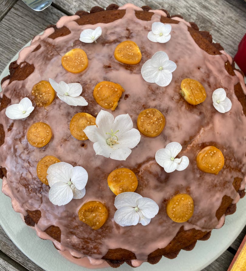 The Sifted Guide to Birthday Cake - by Gab and Courtney