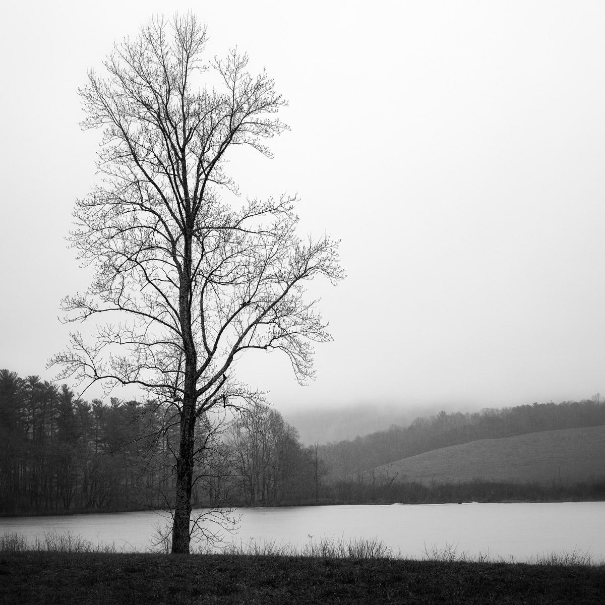 photography in the unsung season - by Lee Anne White