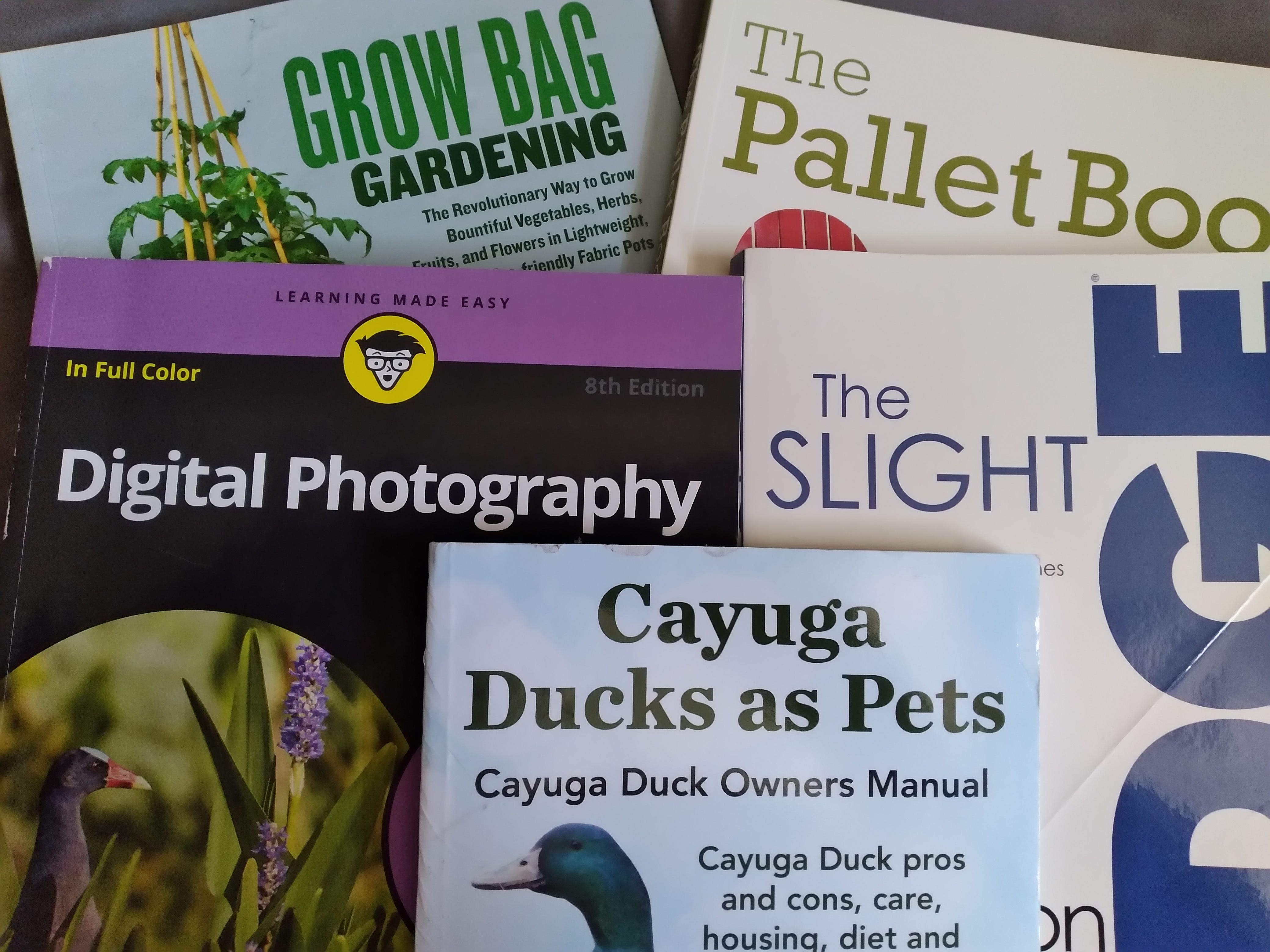 Episode 7: Learning new skills - by Sharon