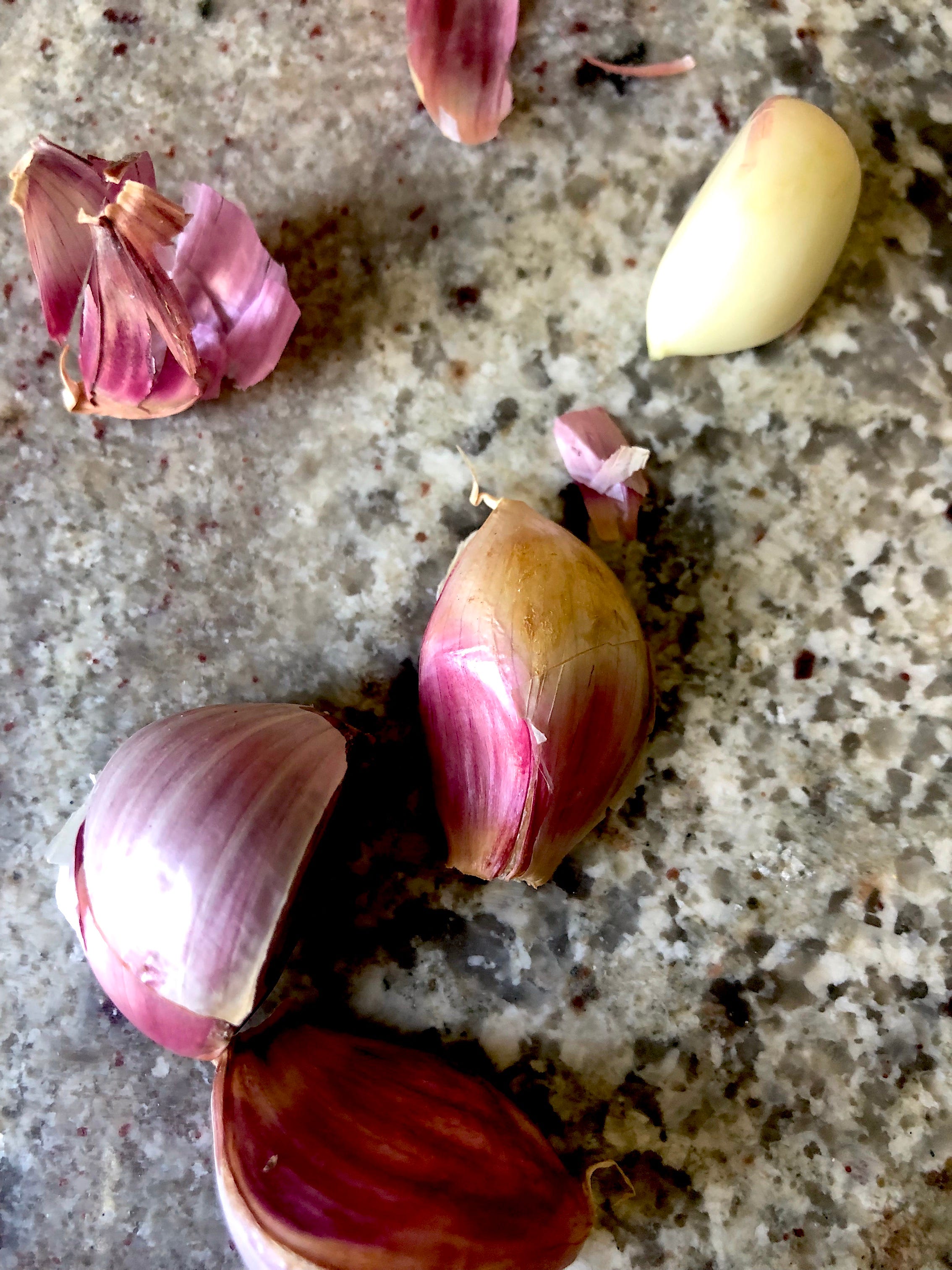 The awesomeness of alliums - by Lisa Brunette