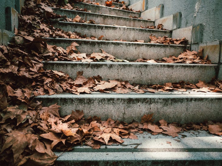 How to Deal with Your Mortality - by Lewis Coyne