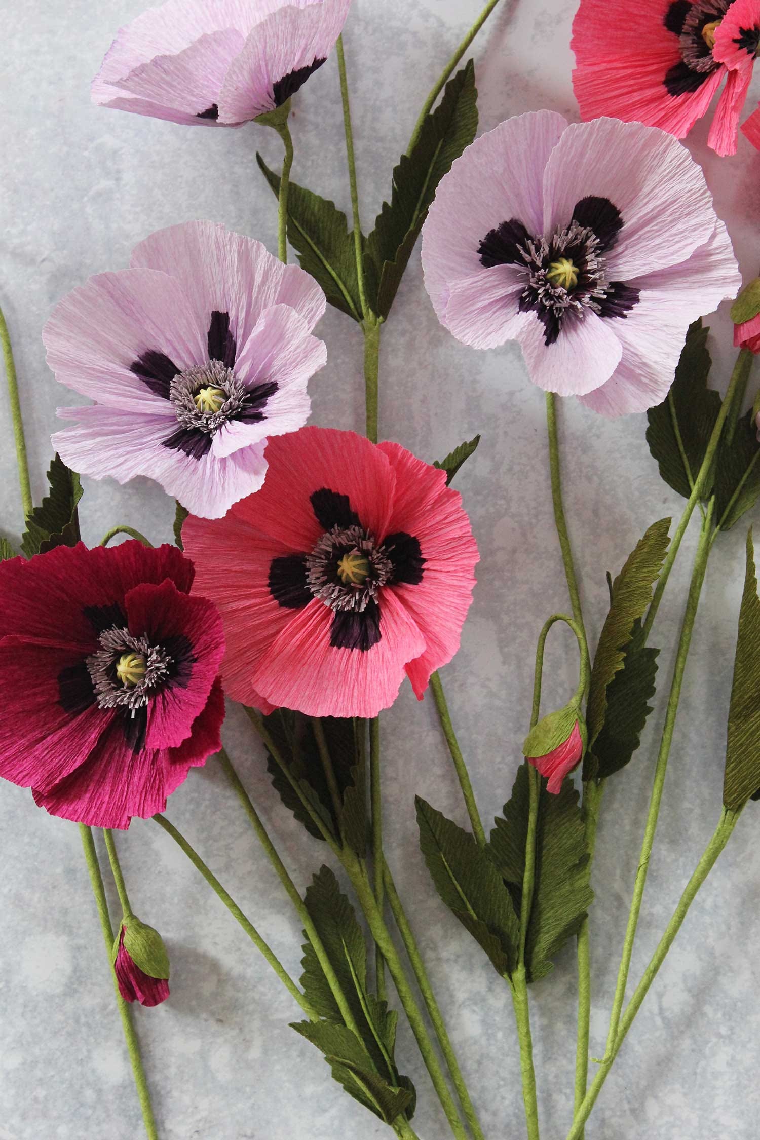 The Q&A: Susan Beech, paper flowers as fine art