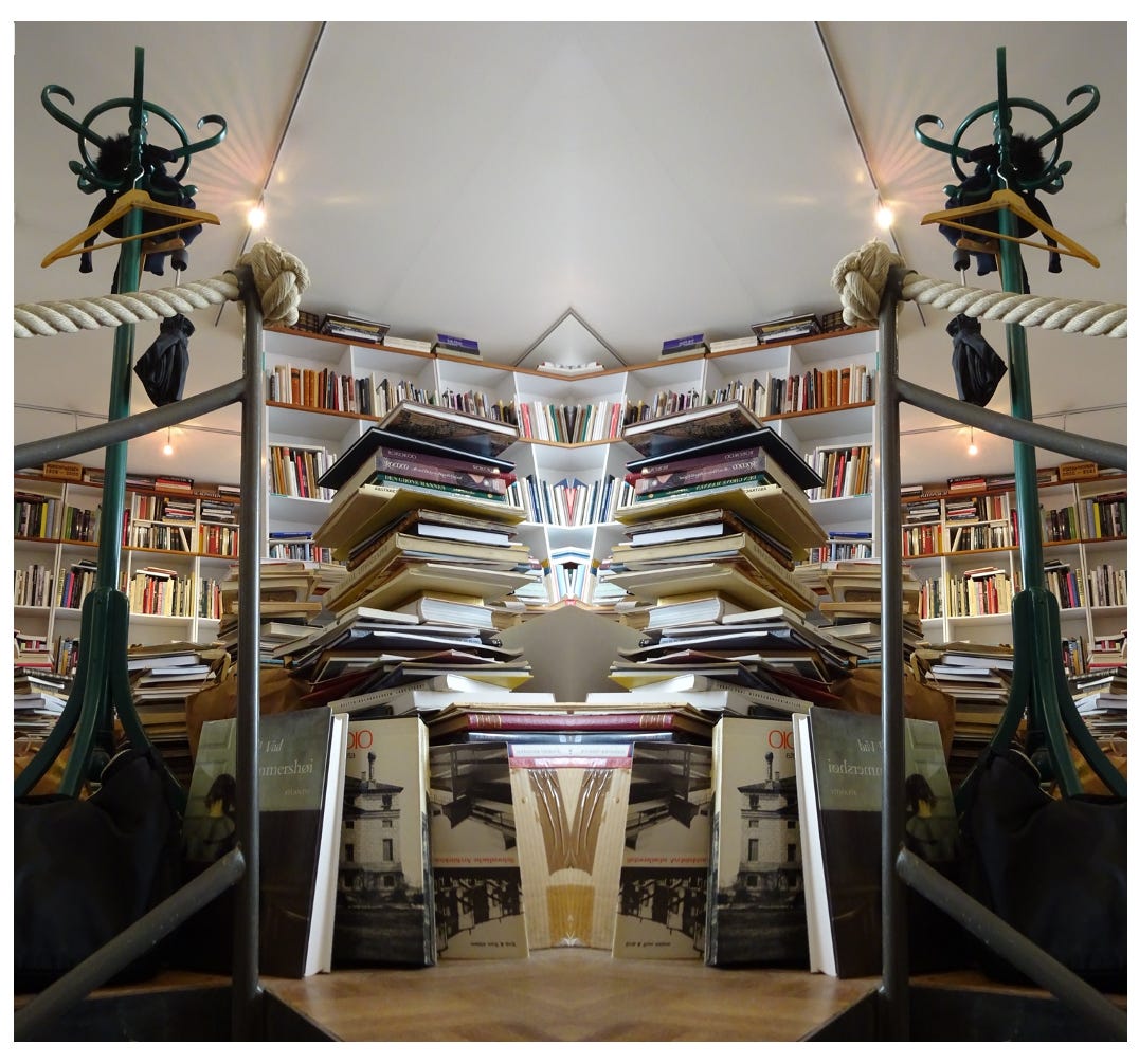 The Problem of Too Many Books (Part 1) - by Ivan Mulcahy