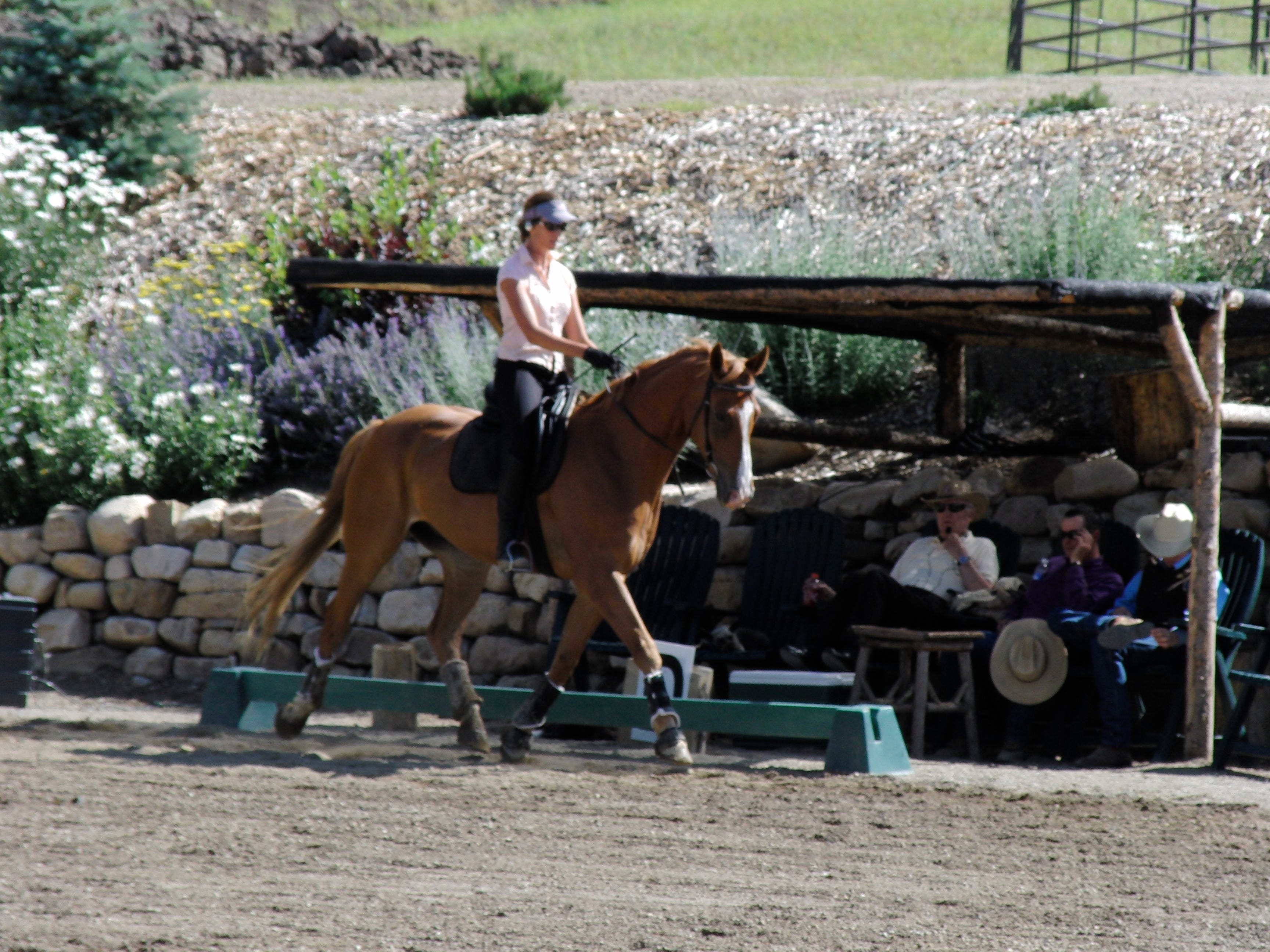 Some Things Are Not For The Taming - by Susannah West Cord