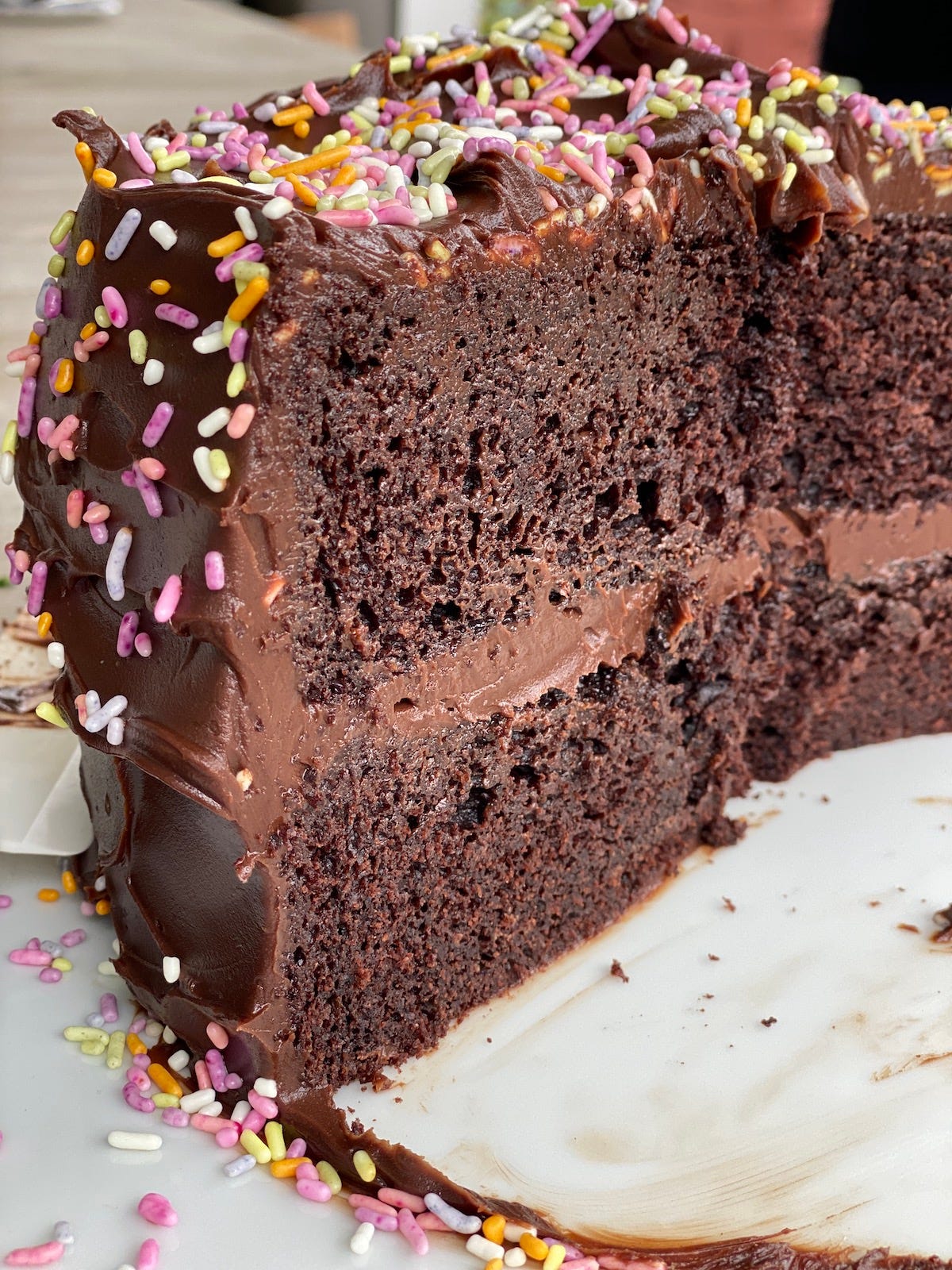 The Only Birthday Cake You'll Ever Need - by Susan Spungen