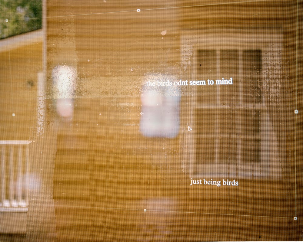 Month 9: Volume 1 - by Christopher Higgs - Beaucoup