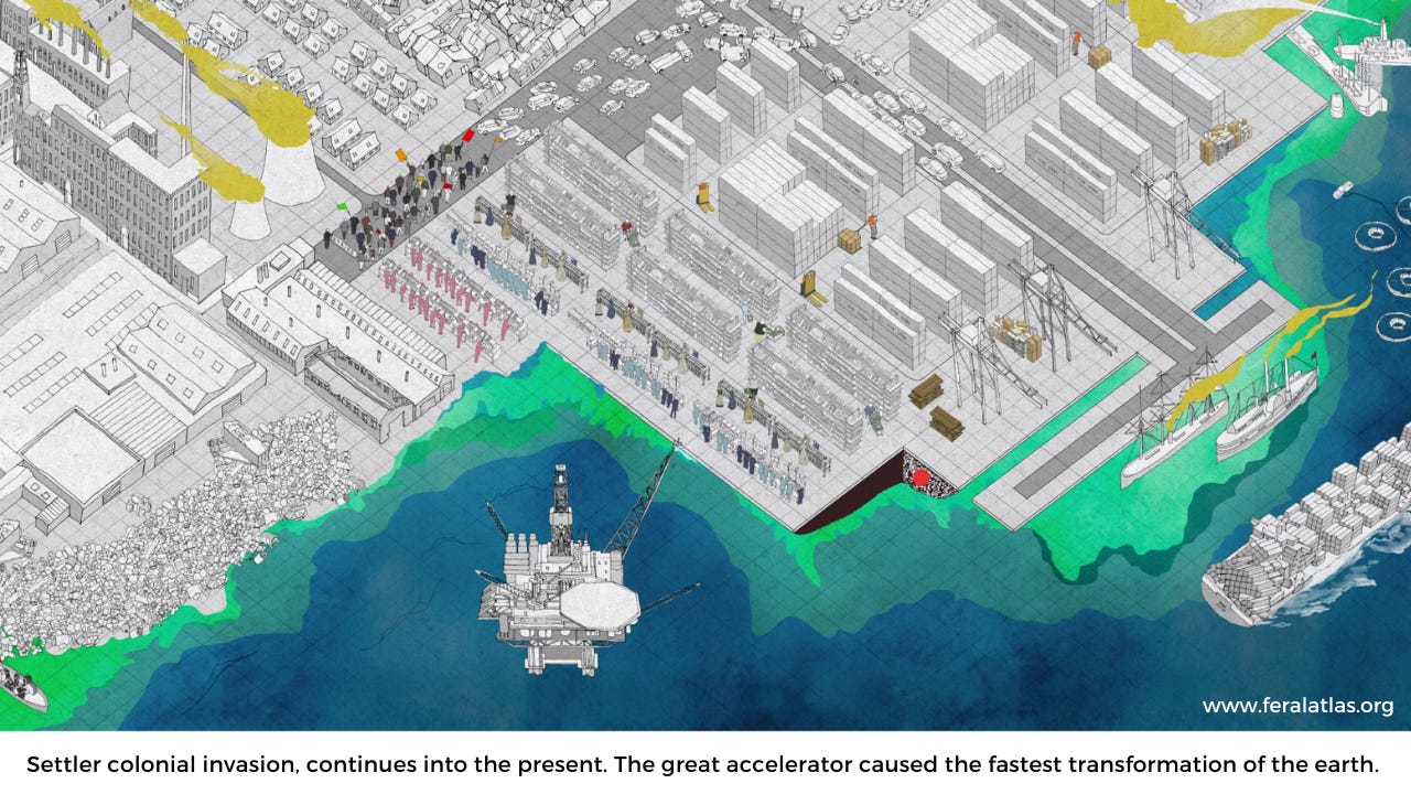 The Feral Atlas - by The counter-intuitive 🐿️