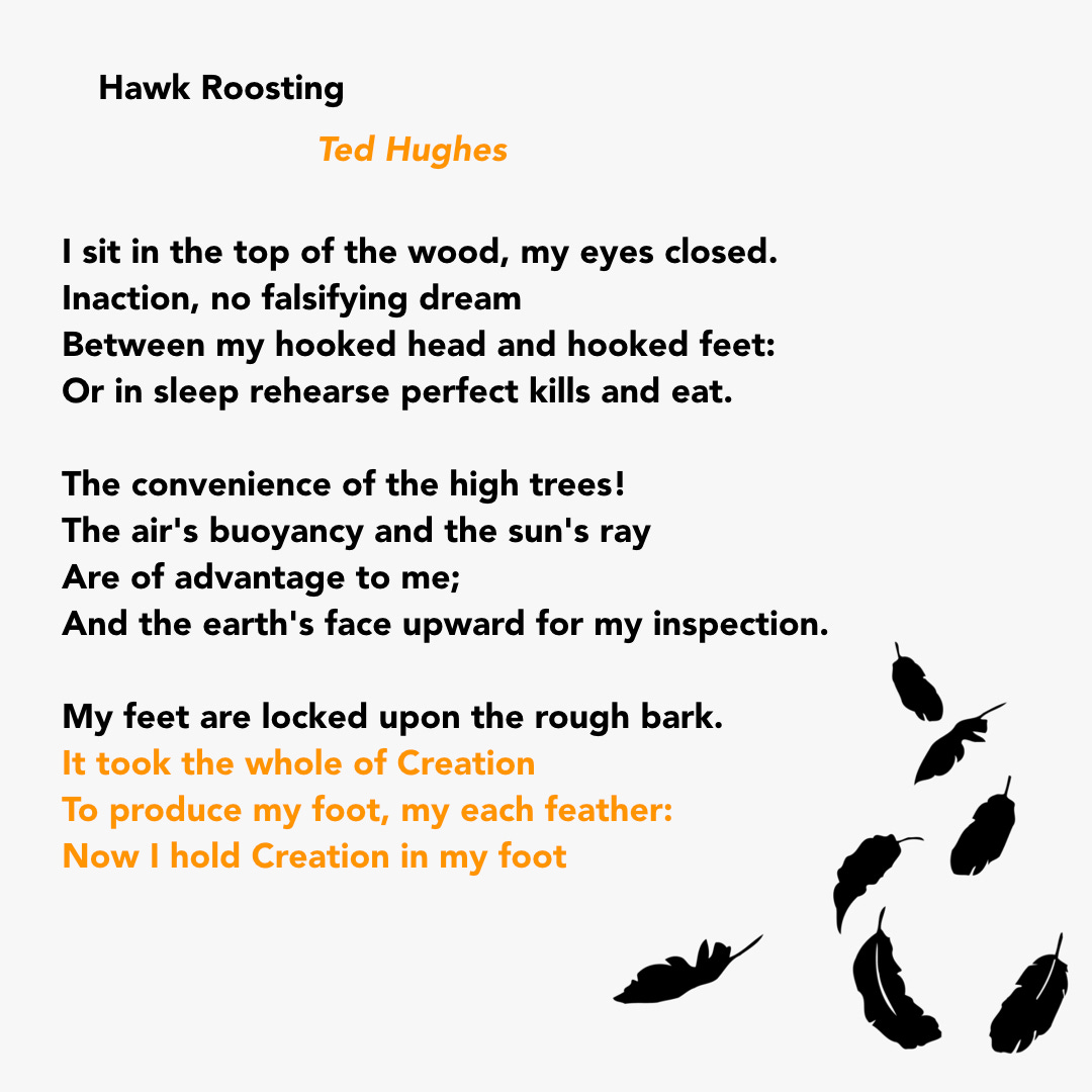 Hawk Roosting - by aranya - Poetly