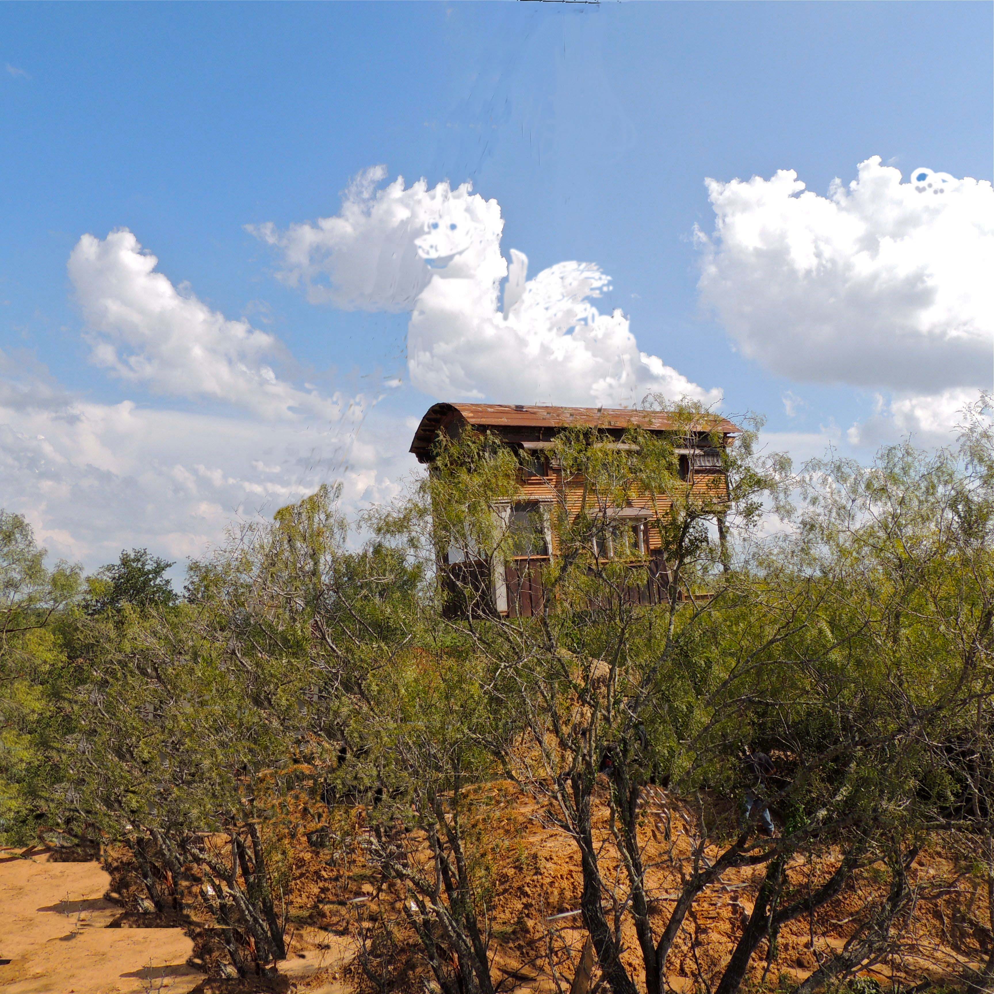 How much of your life hinges on submission to survive? Are you ...