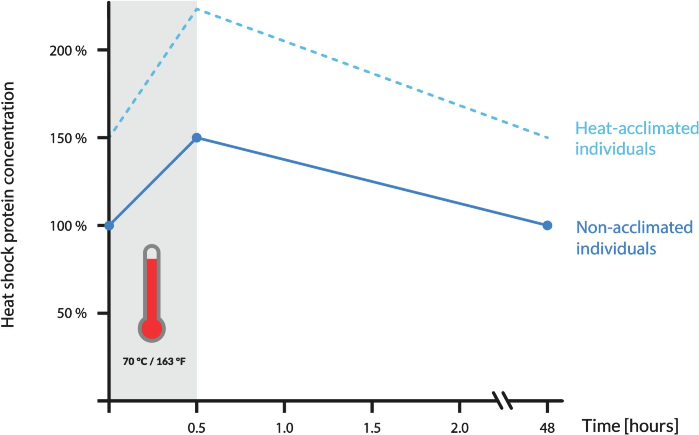 The Emerging Science of Saunas: New Study Review