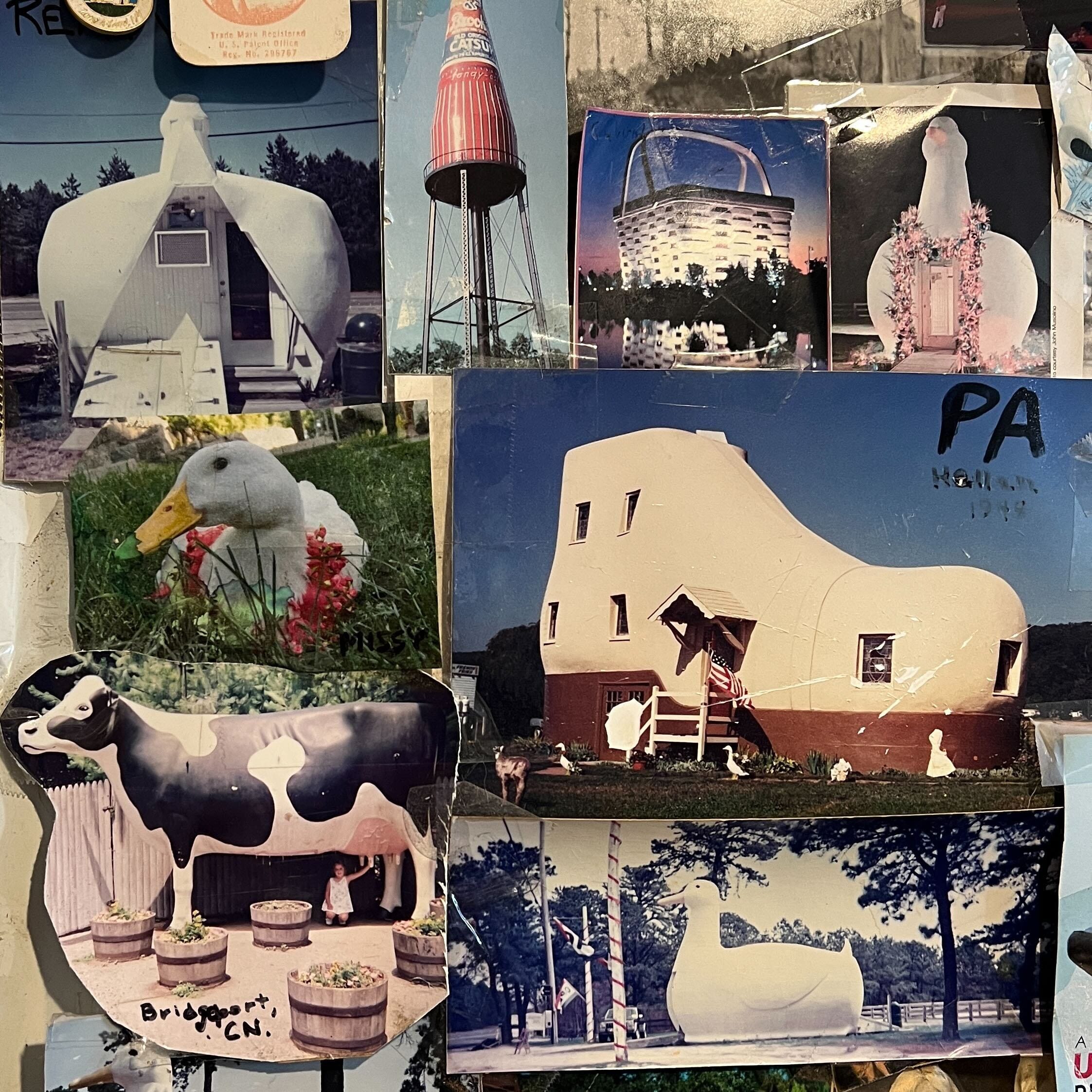 Rolando's Roadside Roundup: Big Duck Edition