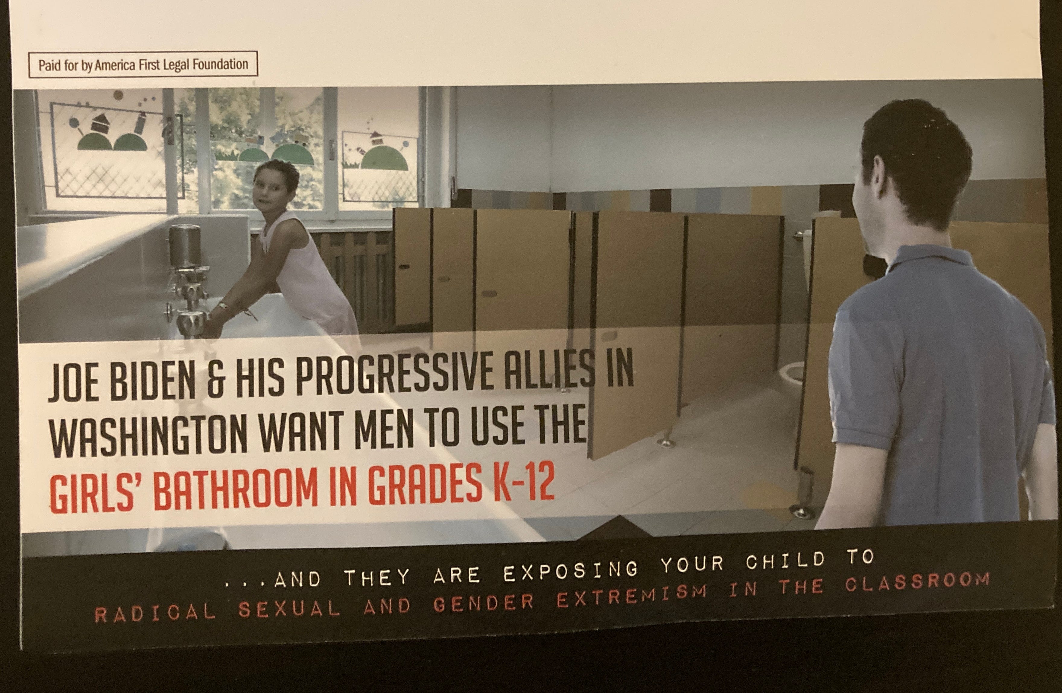 The Struggle for Public Schools - by Matthew J. Haugen