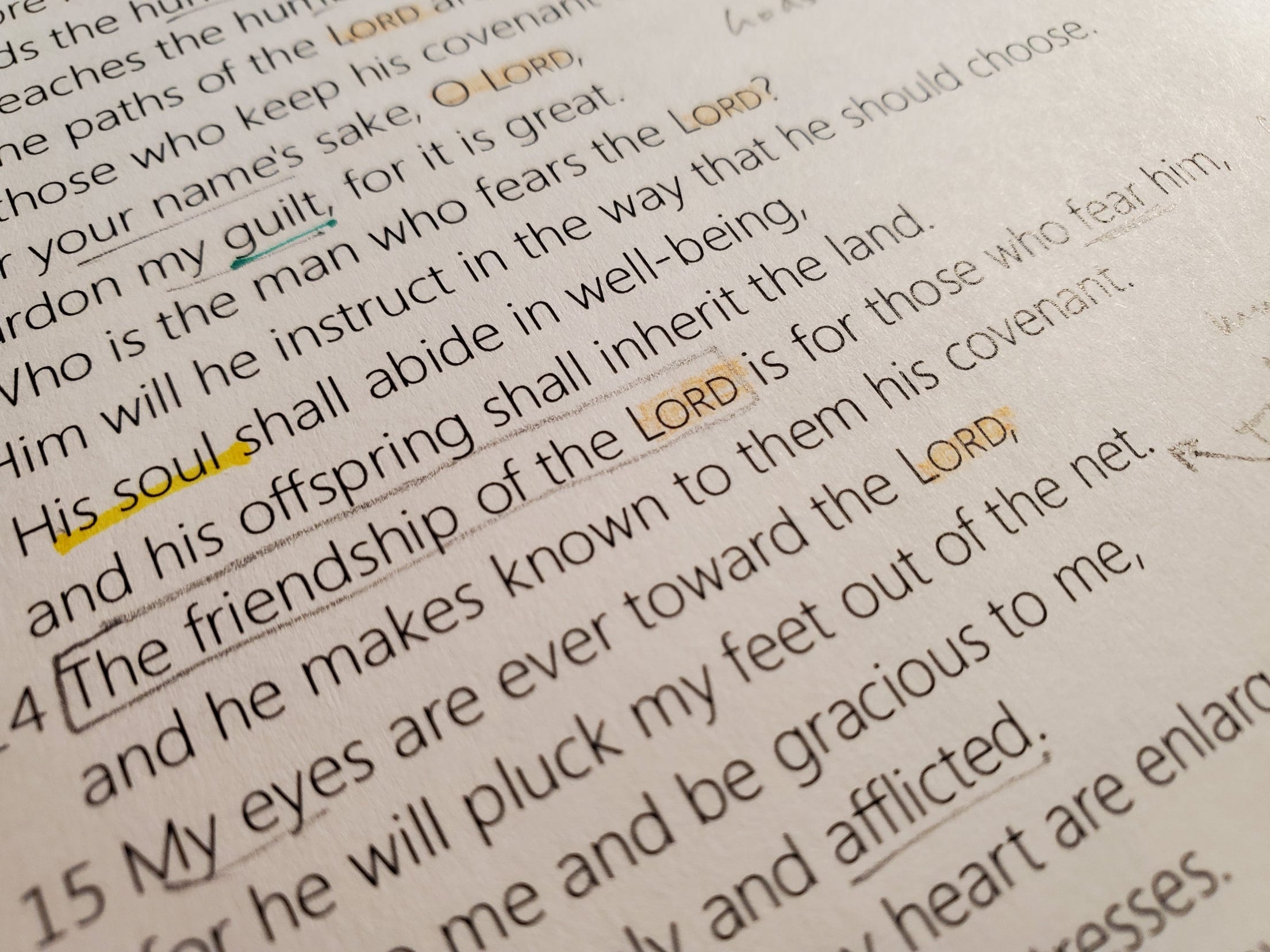 Faith devours our Foolishness - by Bryan Wolfmueller