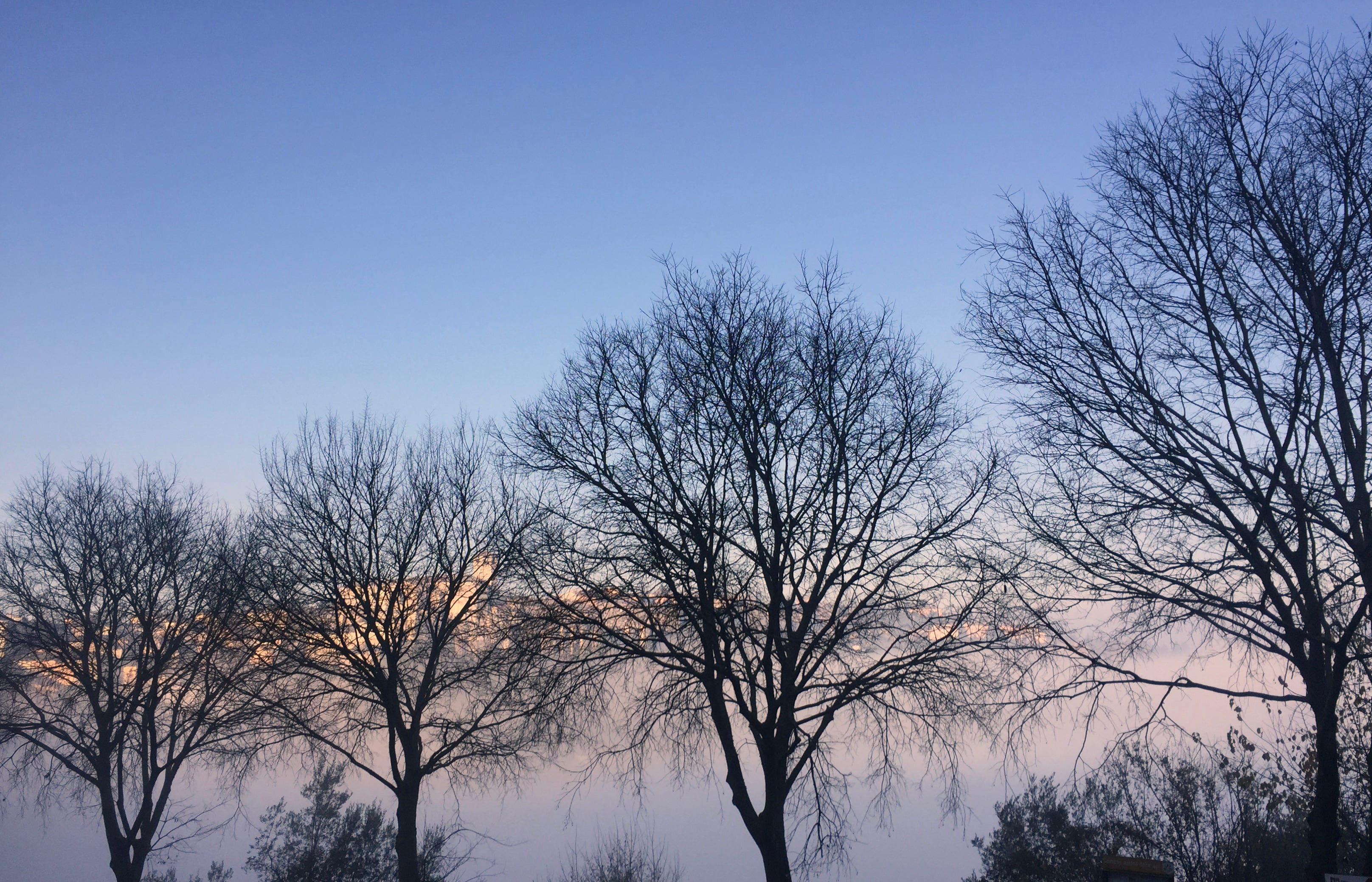 Rethinking Rituals - by Cheryl A. Ossola