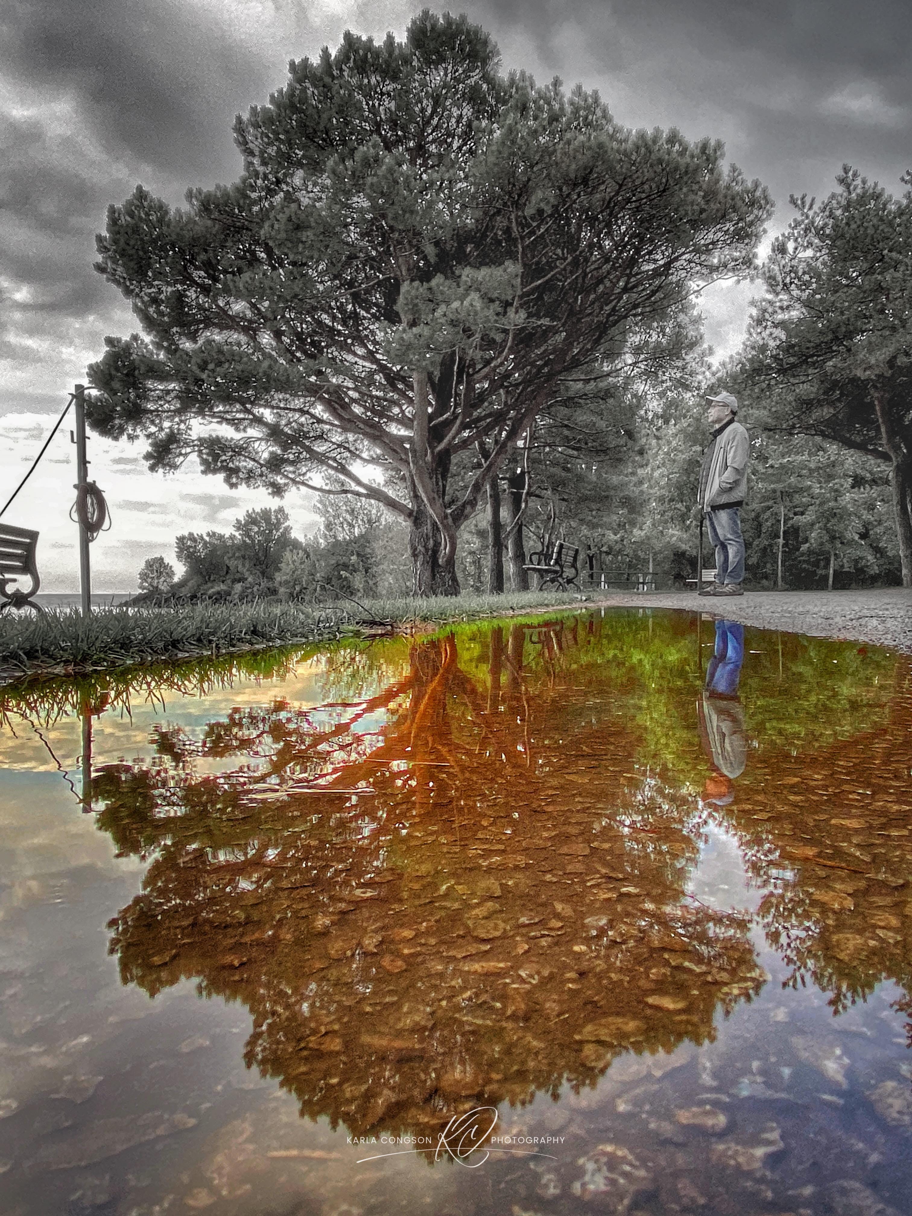 Community driven photography tips and tricks - by Laura