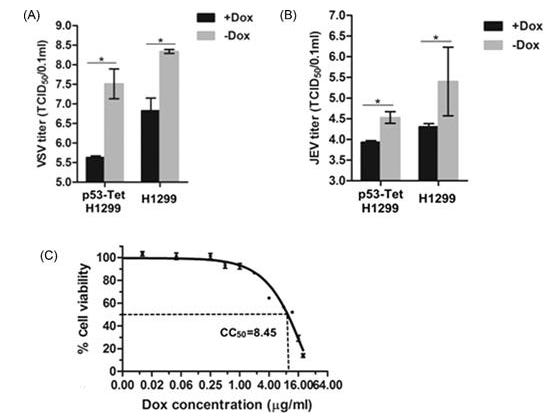 Repurposing of the antibiotic Doxycycline as an antiviral and anti ...