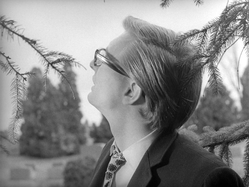 Dead Flesh - by david c. porter - Garden Scenery