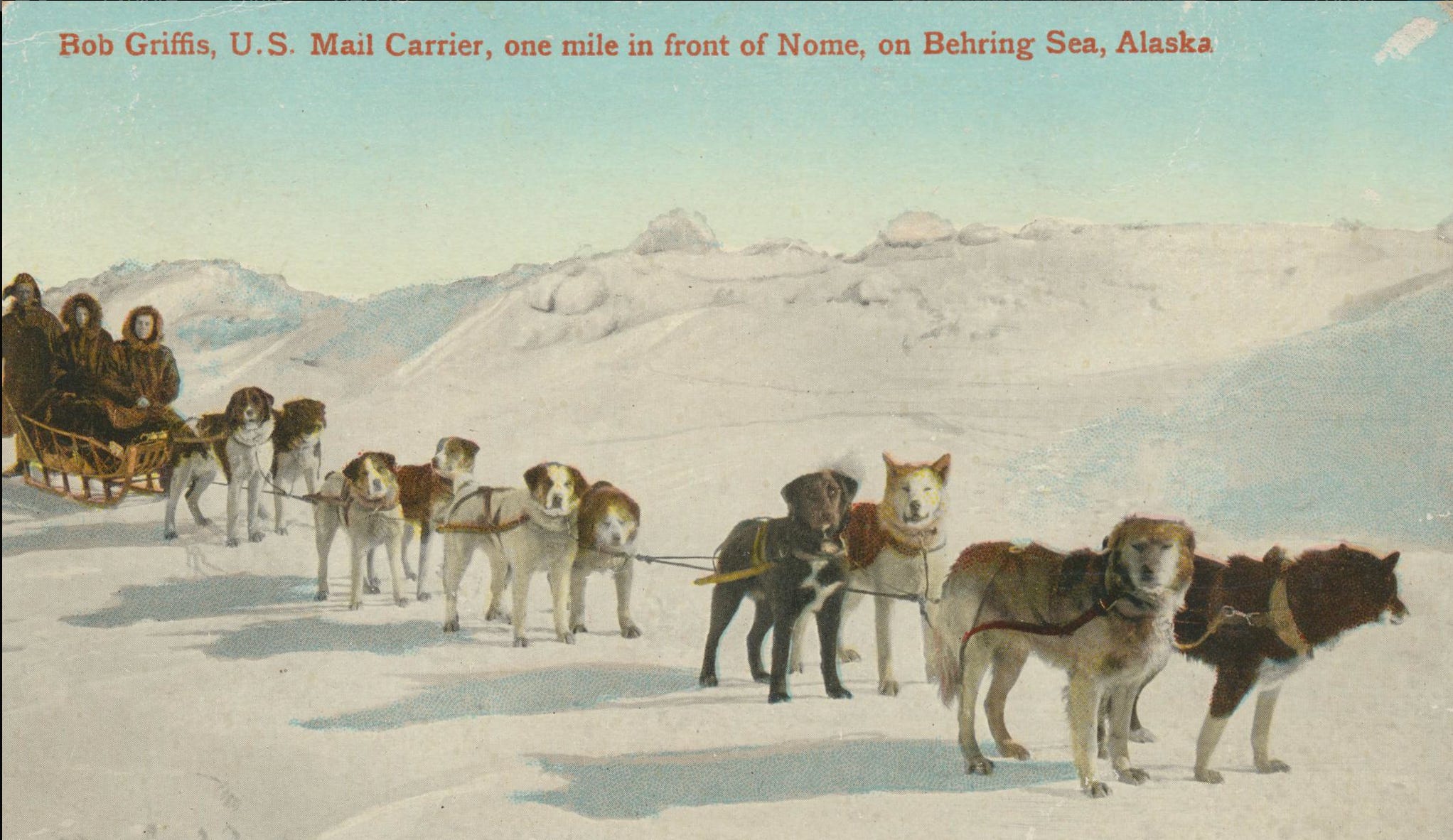 The History of Sled Dogs in North America