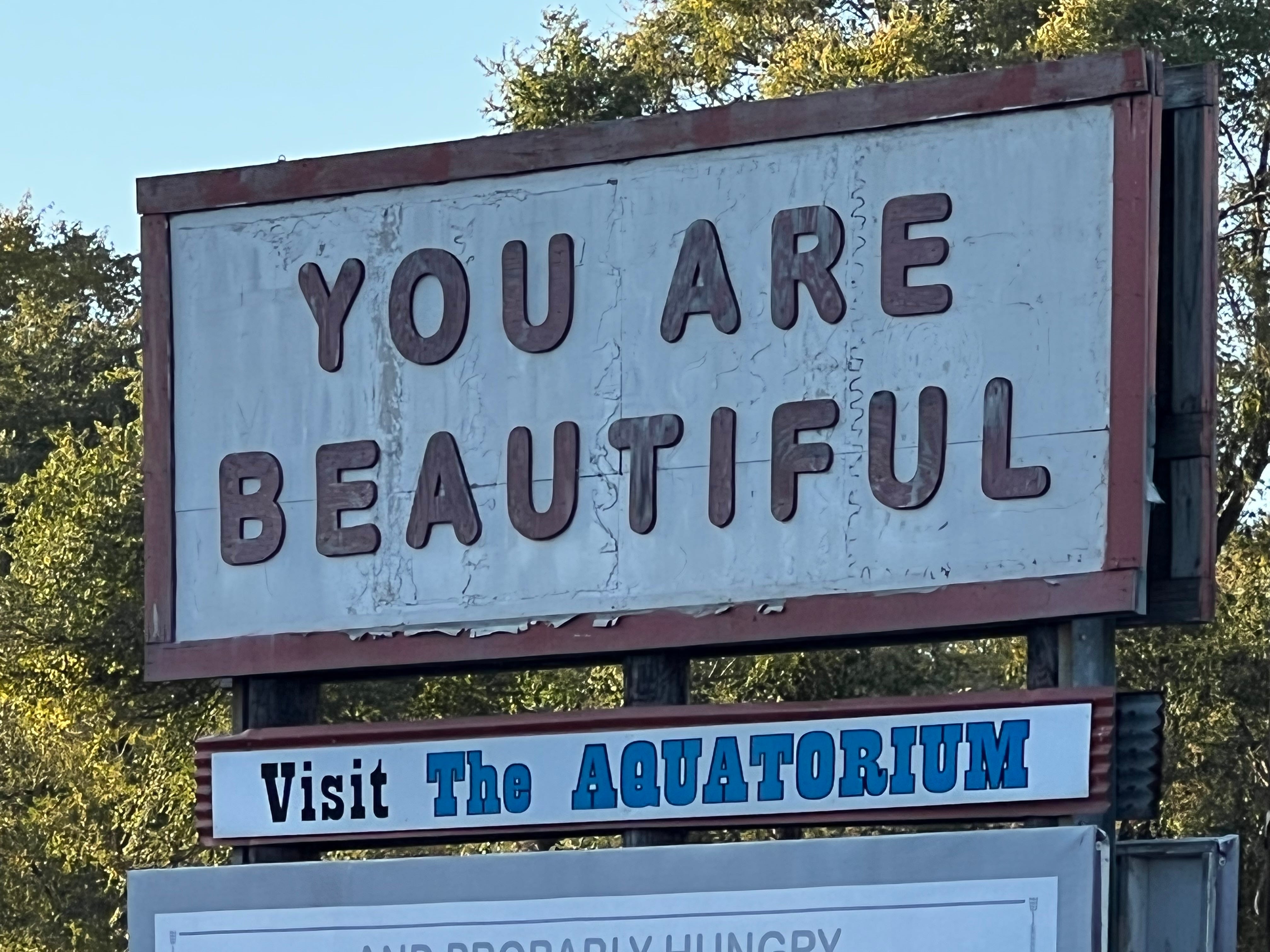 Jason Busch | Substack