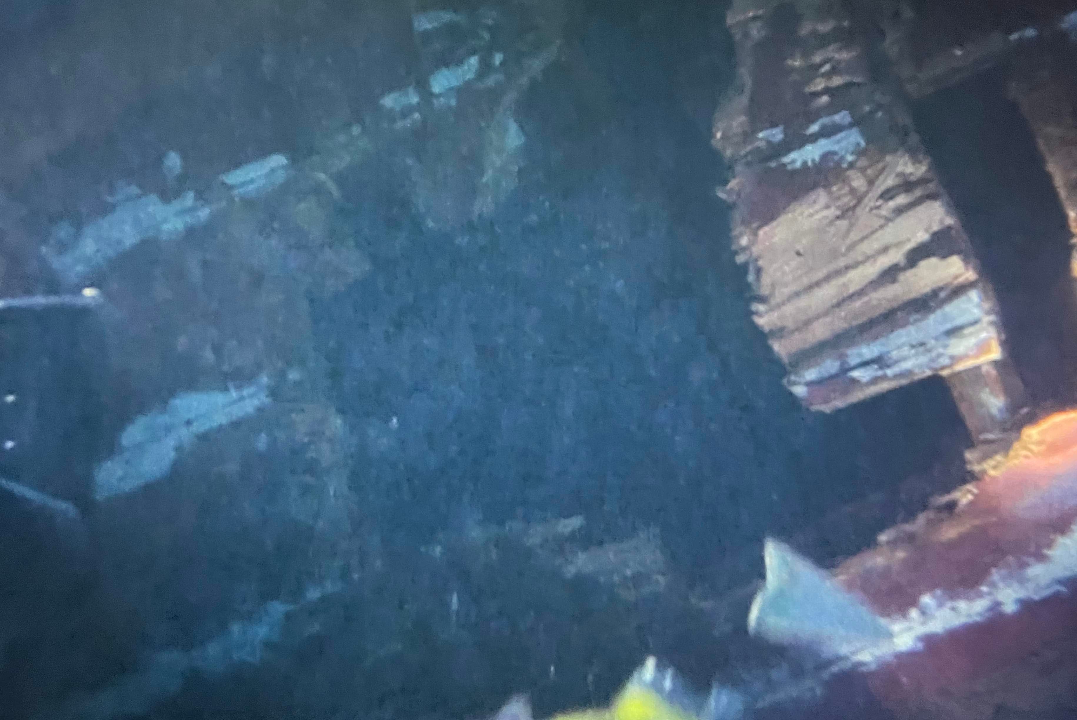 The Truth About Jaws - by Ben Dreyfuss - Calm Down